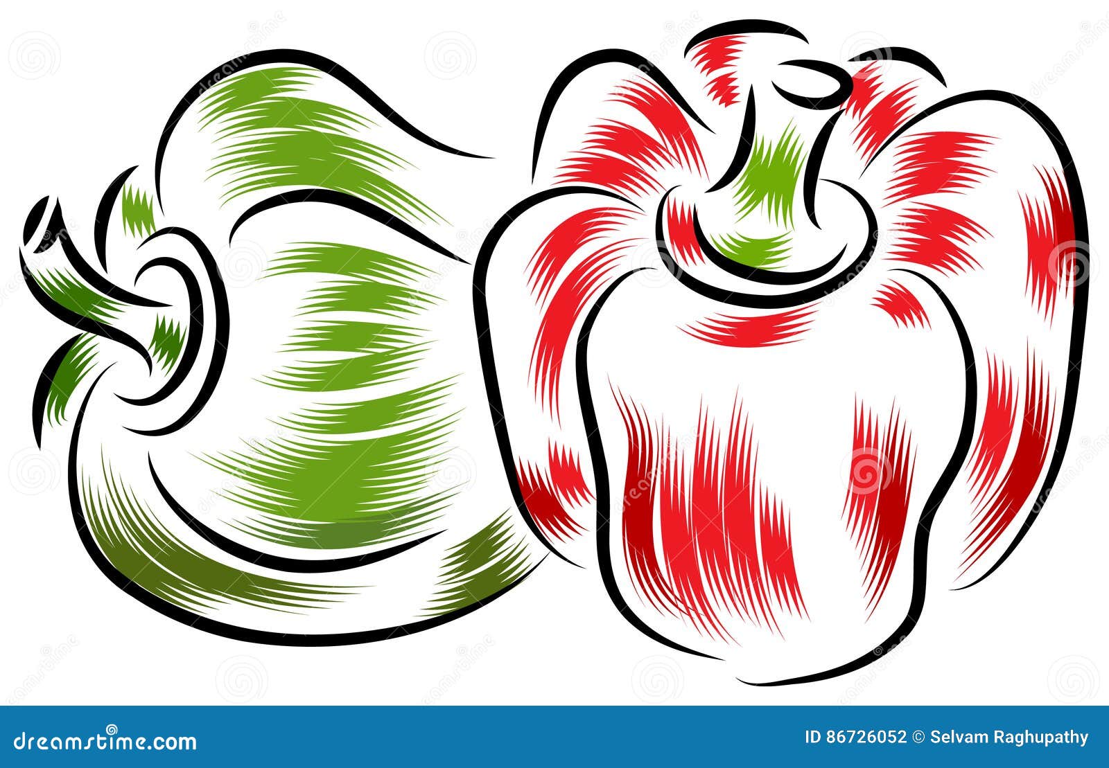 Capsicum stock vector. Illustration of bell, nutrition - 86726052