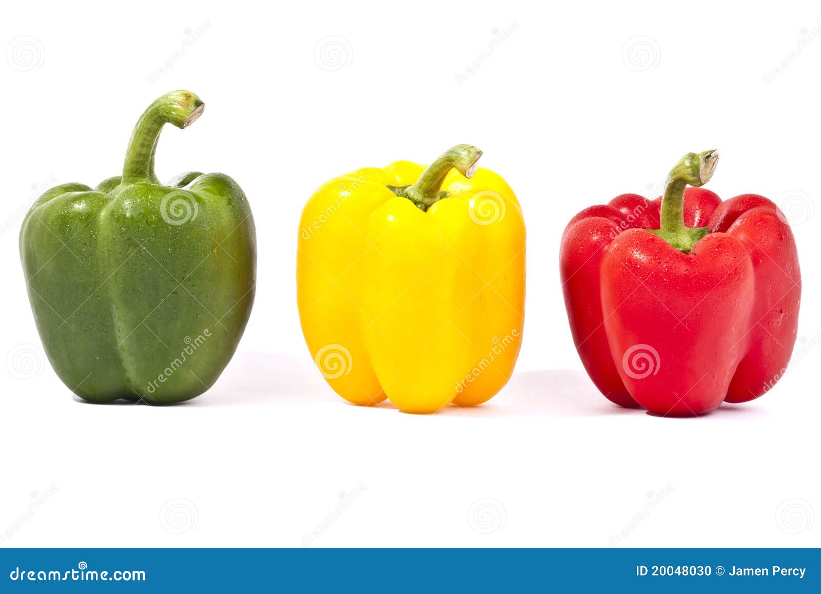 Capsicum peppers stock photo. Image of capsicum, variety - 20048030