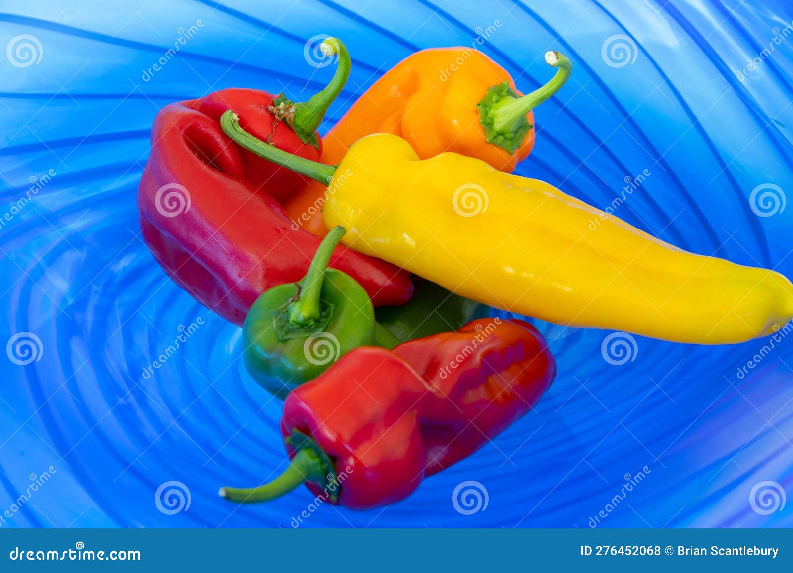 Capsicum unusually shaped stock photo. Image of closeup - 276452068