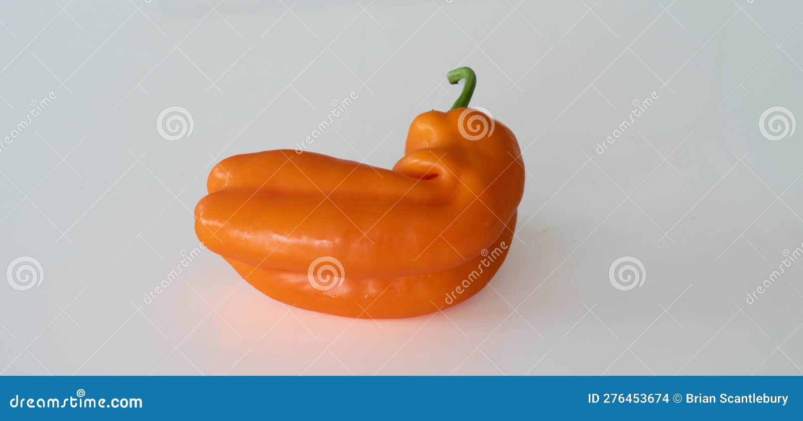 Capsicum unusually shaped stock photo. Image of misshapen - 276453674