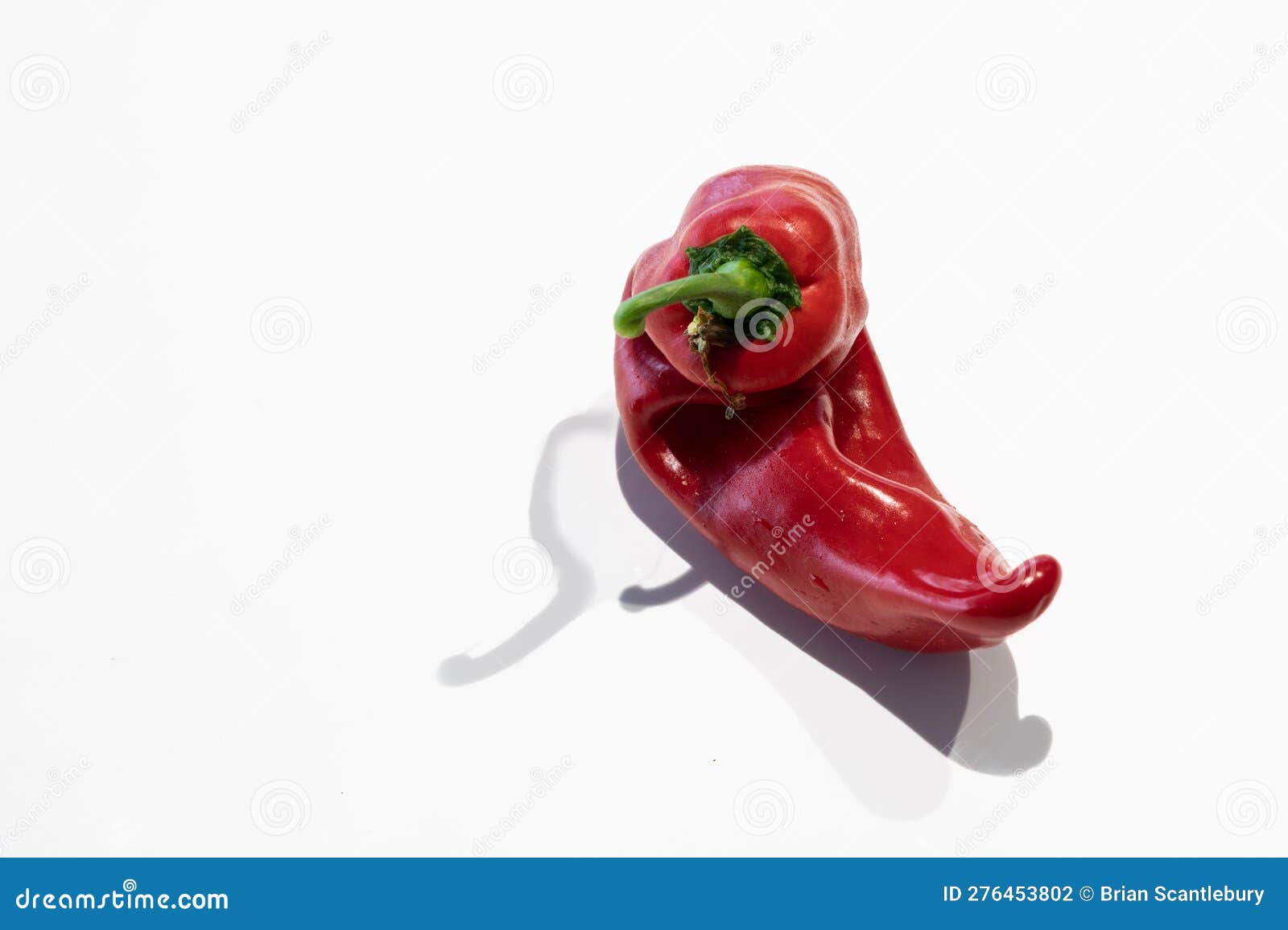 Capsicum unusually shaped stock photo. Image of natural - 276453802