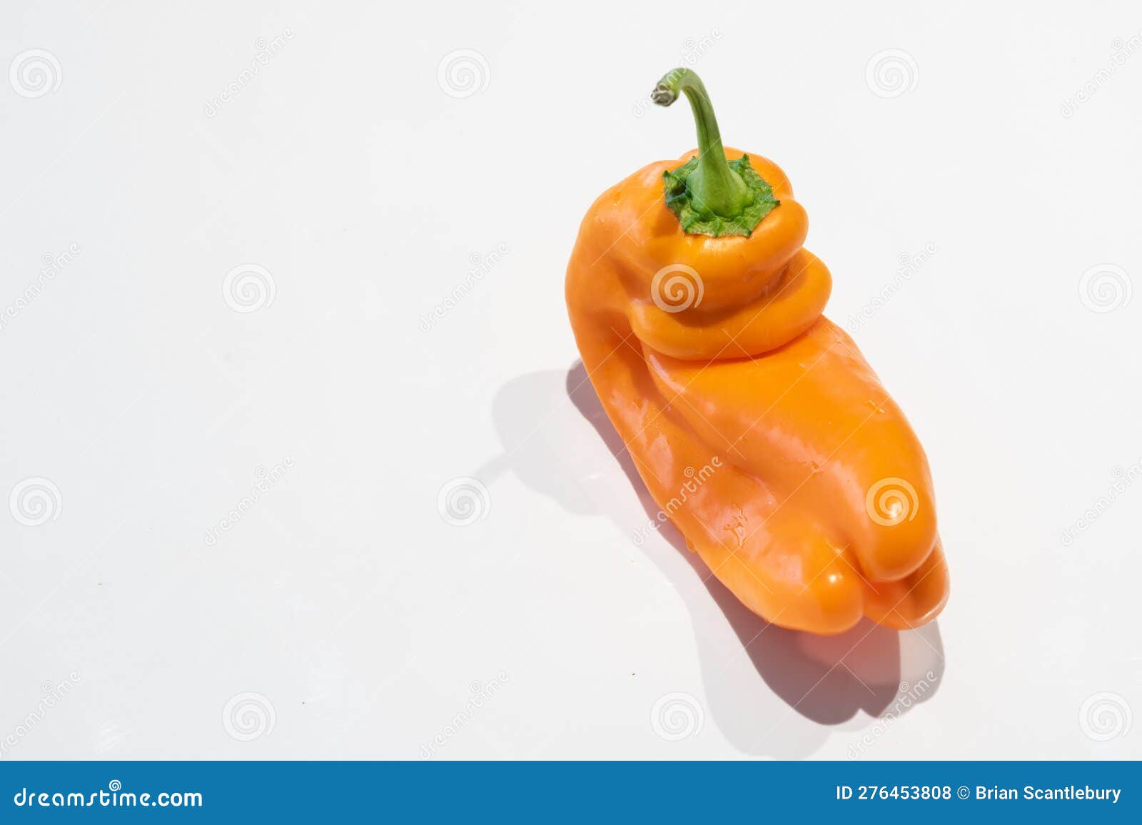Capsicum unusually shaped stock photo. Image of misshapen - 276453808