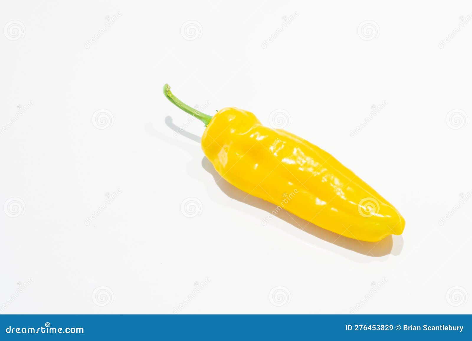 Capsicum unusually shaped stock image. Image of chilli - 276453829