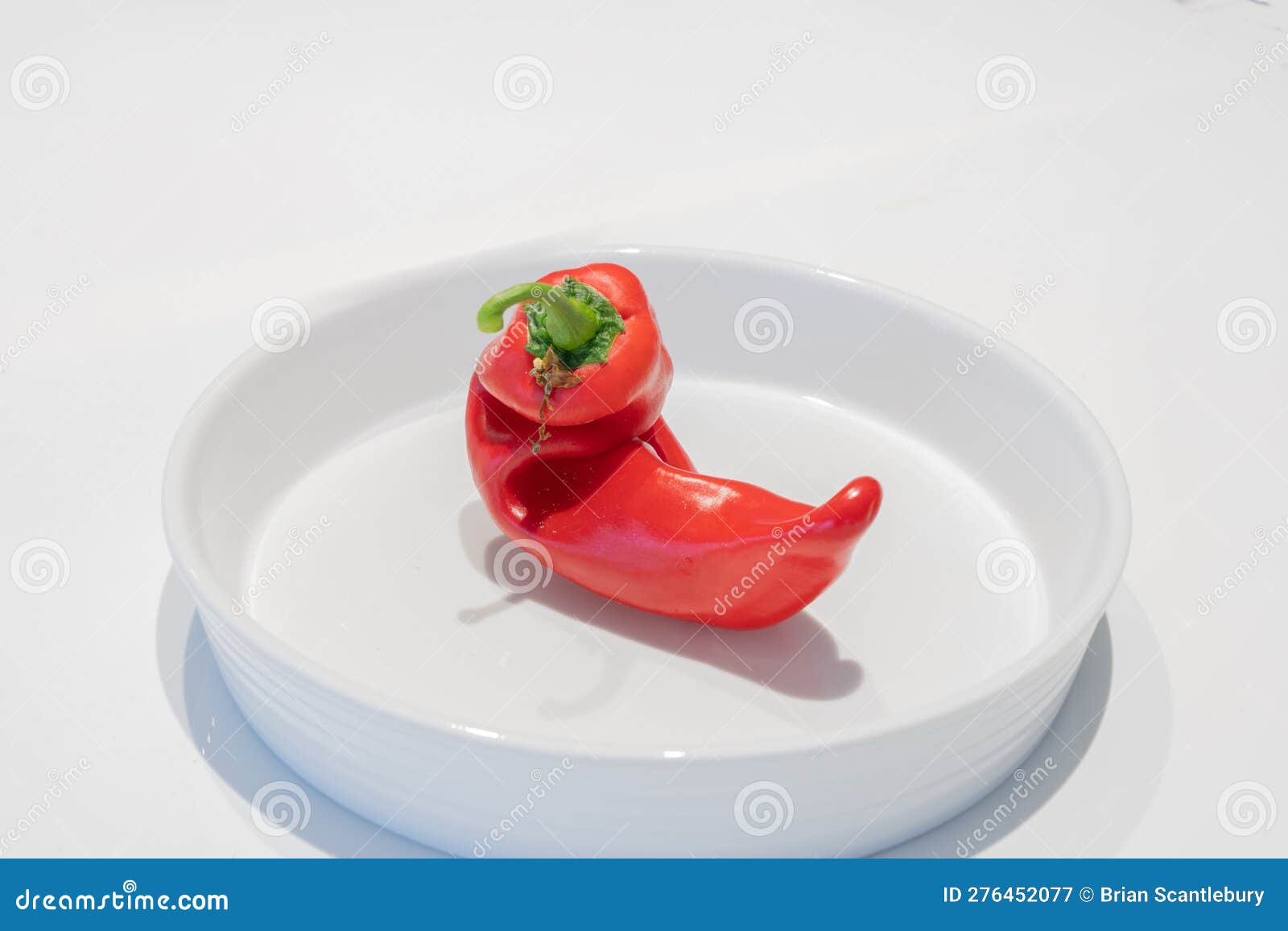Capsicum unusually shaped stock image. Image of isolated - 276452077