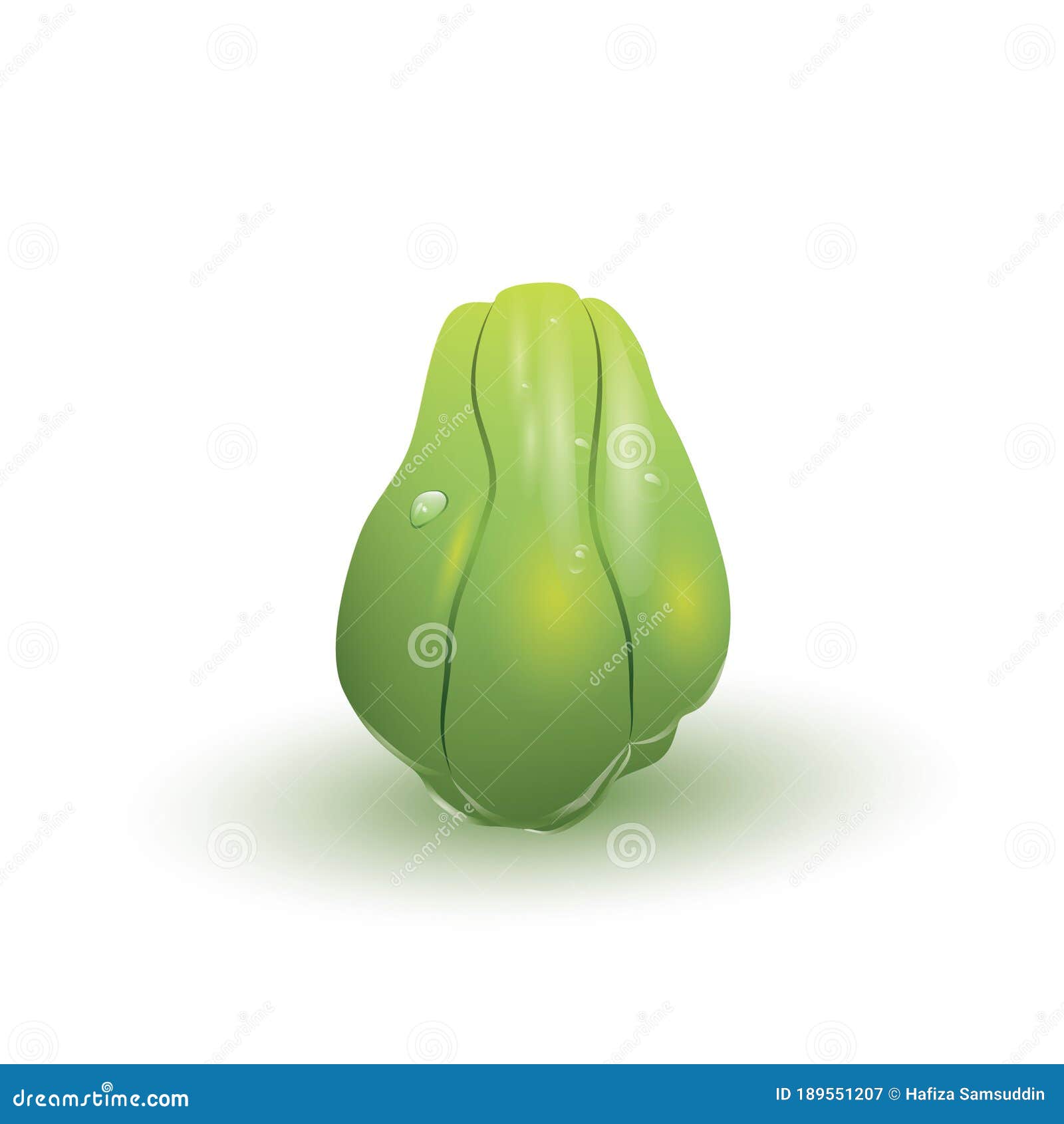 Capsicum. Vector Illustration Decorative Design Stock Vector ...