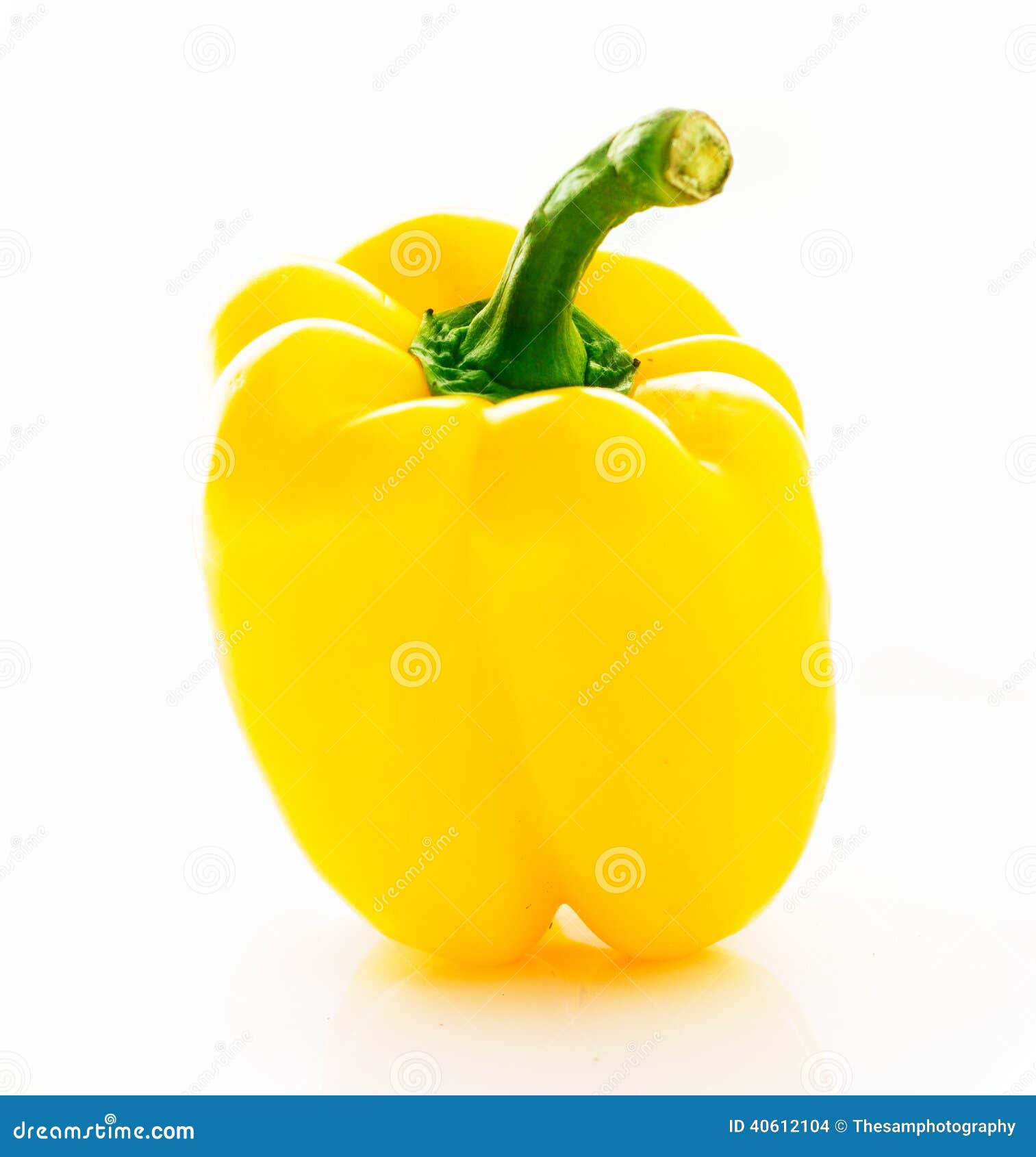 Capsicum stock photo. Image of suji, white, background - 40612104