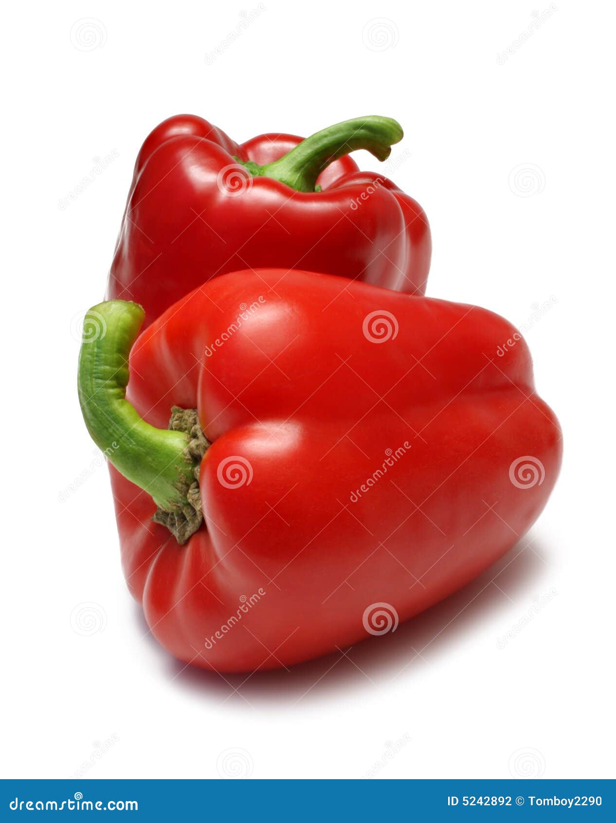 Capsicums stock photo. Image of white, bright, pair, path - 5242892