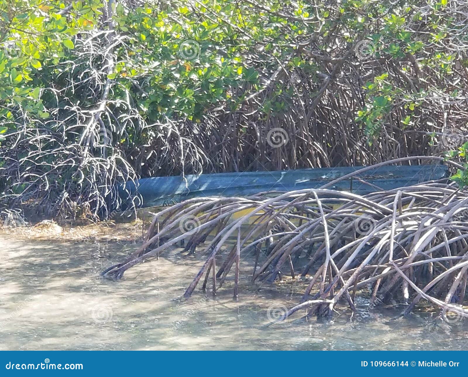 Boats after the Hurricane stock photo. Image of hurricane - 109666144