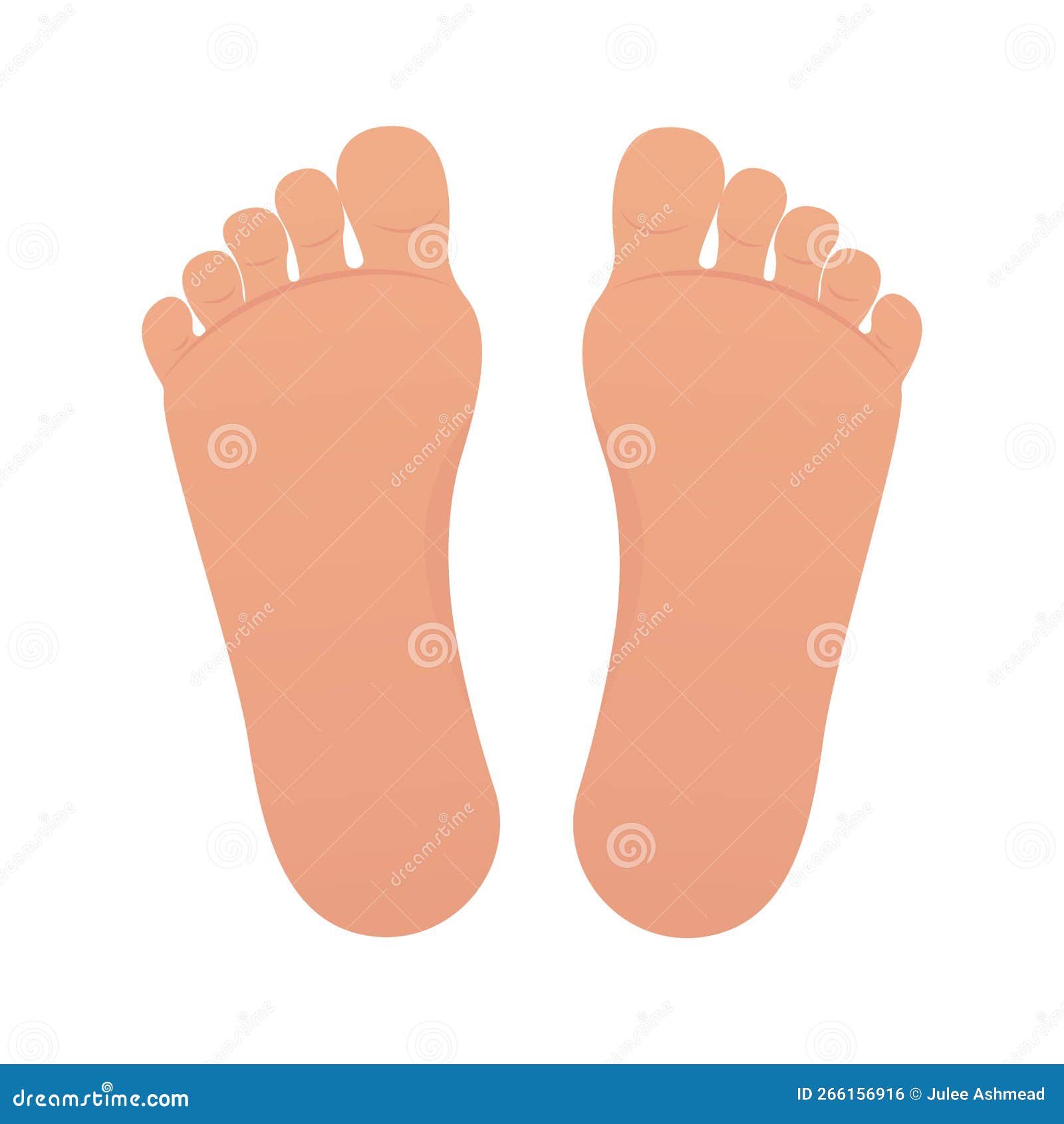 Bare Feet Isolated Vector Illustration Cartoon Graphic Stock Vector ...