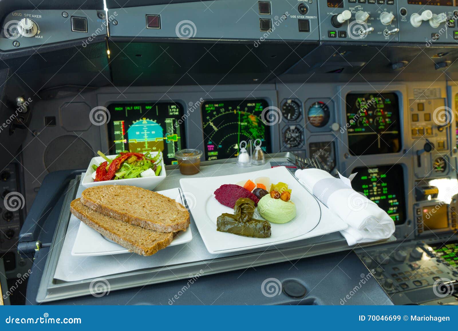 Captain s dinner stock image. Image of airplane, business - 70046699