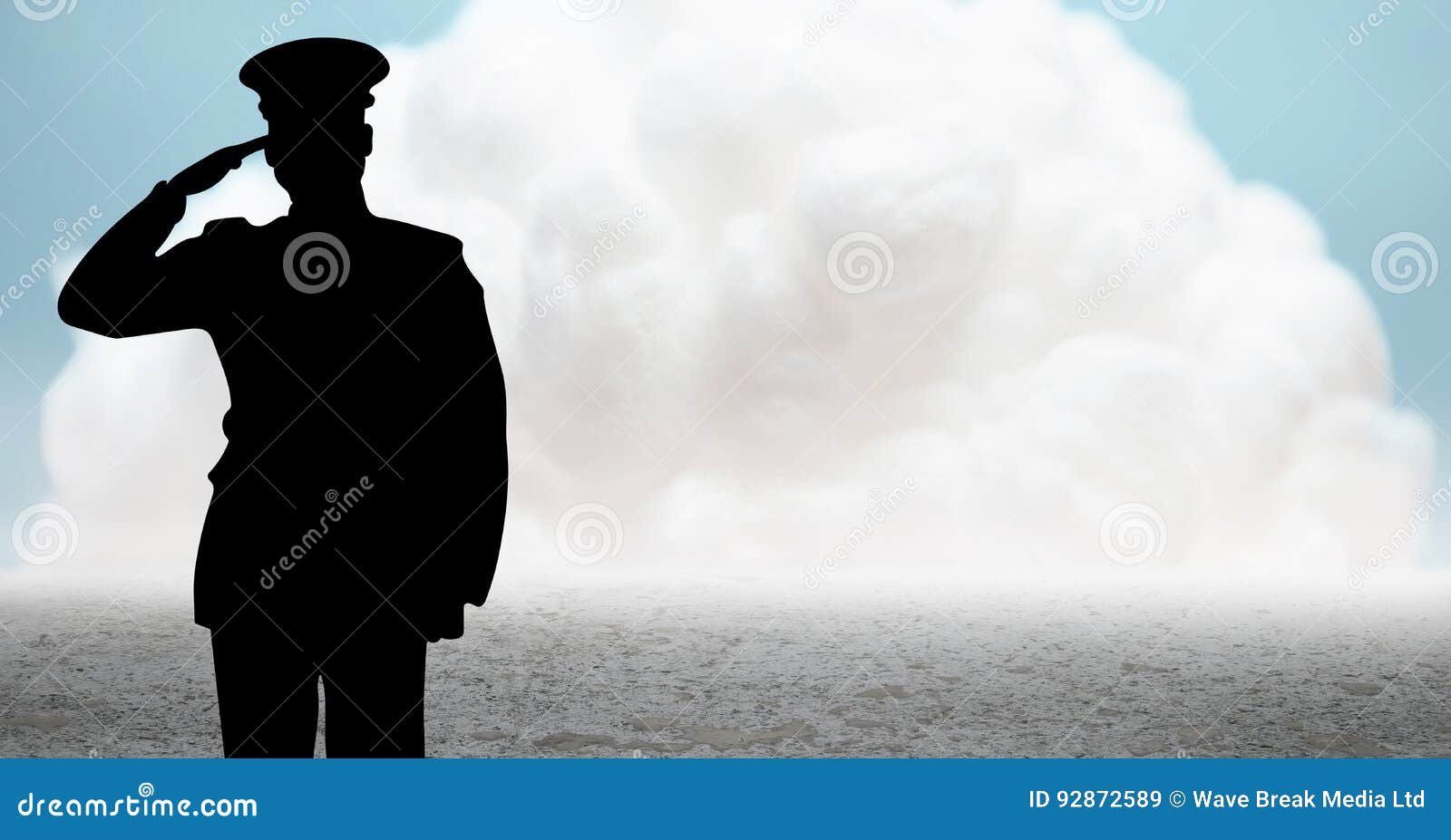 Captain Silhouette Saluted Against Blue Green Background Stock ...