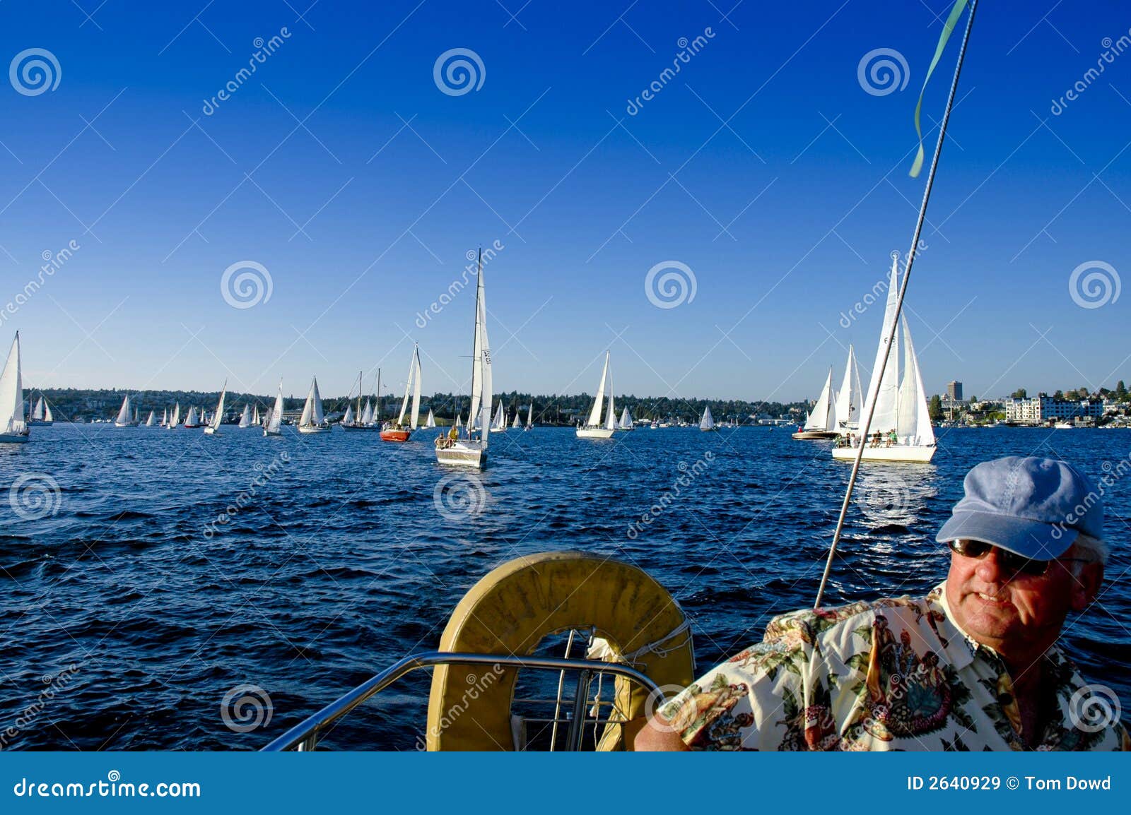 Captain At The Wheel Picture. Image: 2640929