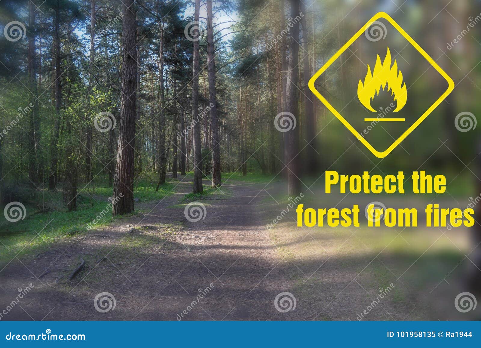Caption: Protect the Forest from Fire. and a Sign of Fire Danger Stock ...