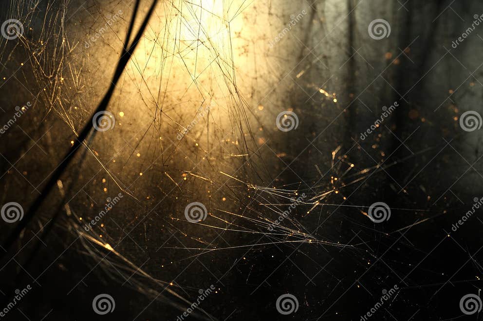 Captivating Abstract Web Rendering with Soft Ambient Light Stock ...