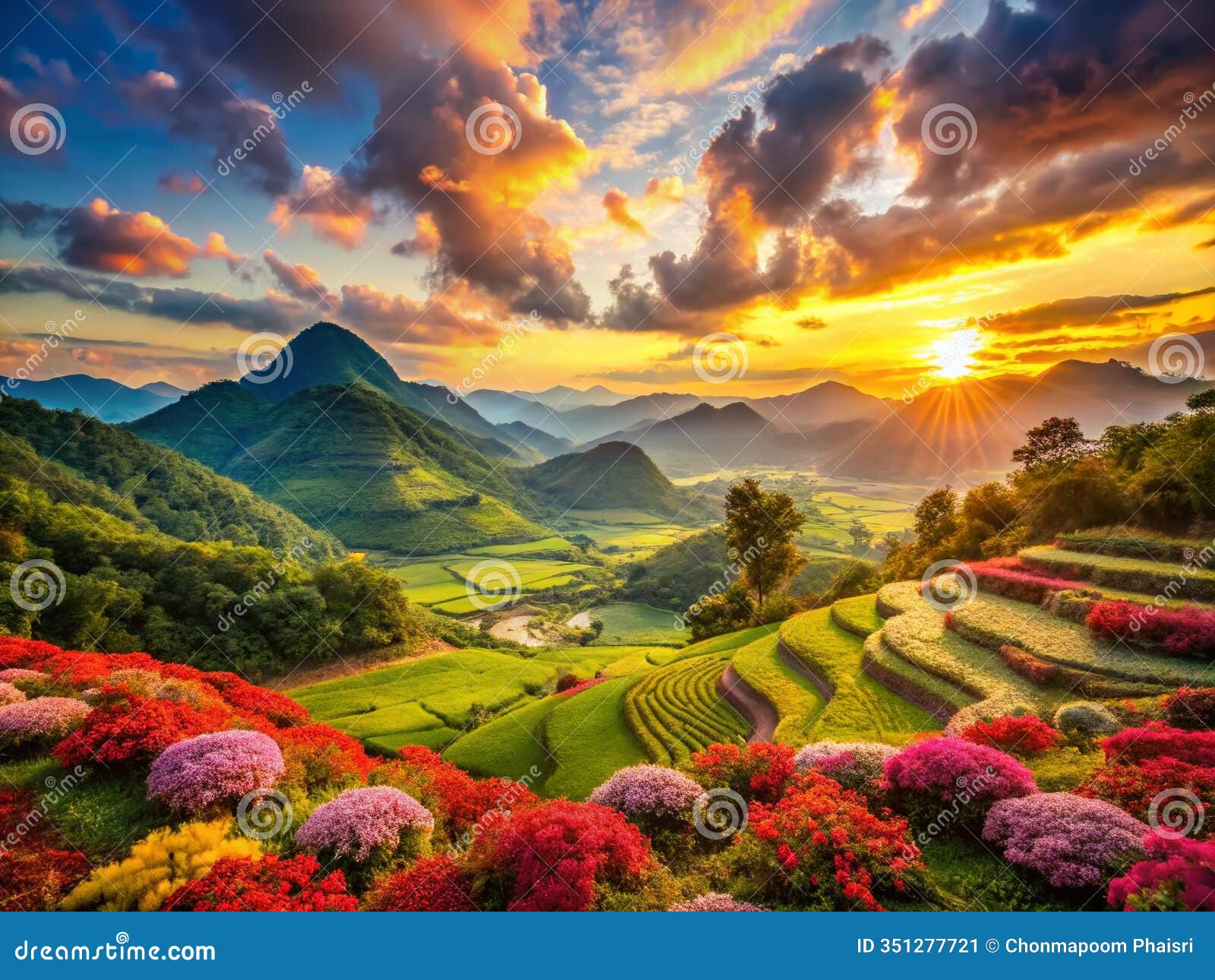 Placeholders, Field Icon. Simple Color Vector Elements Of Automated ...