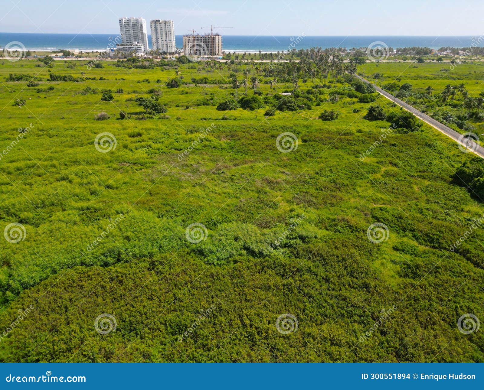 A Captivating Beachfront: Lush Greenery, Captured from the Aerial ...