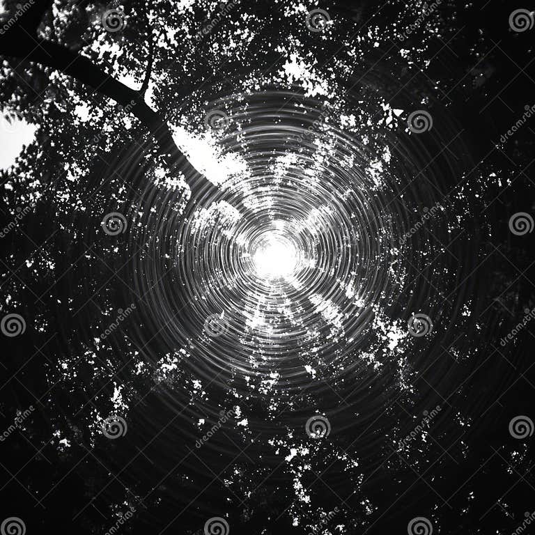 Captivating Black and White Spiral Light Effect through Tree Canopy in ...