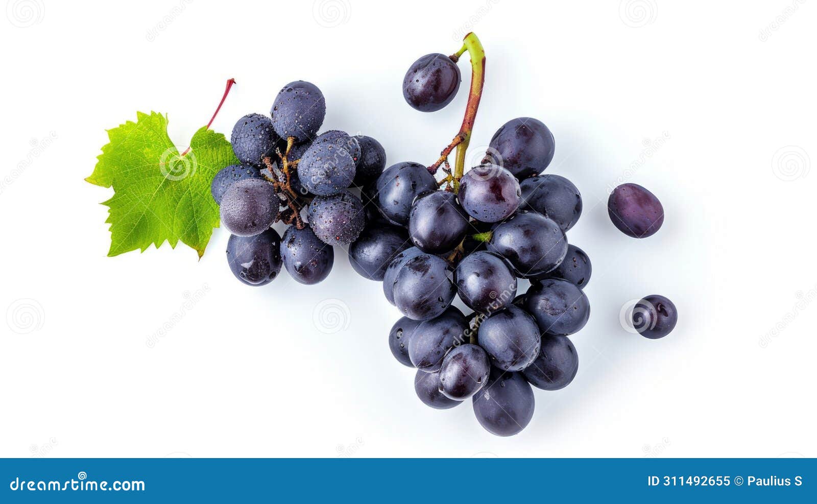Captivating Composition: Black Grapes Fruit Showcase with Half a Slice ...