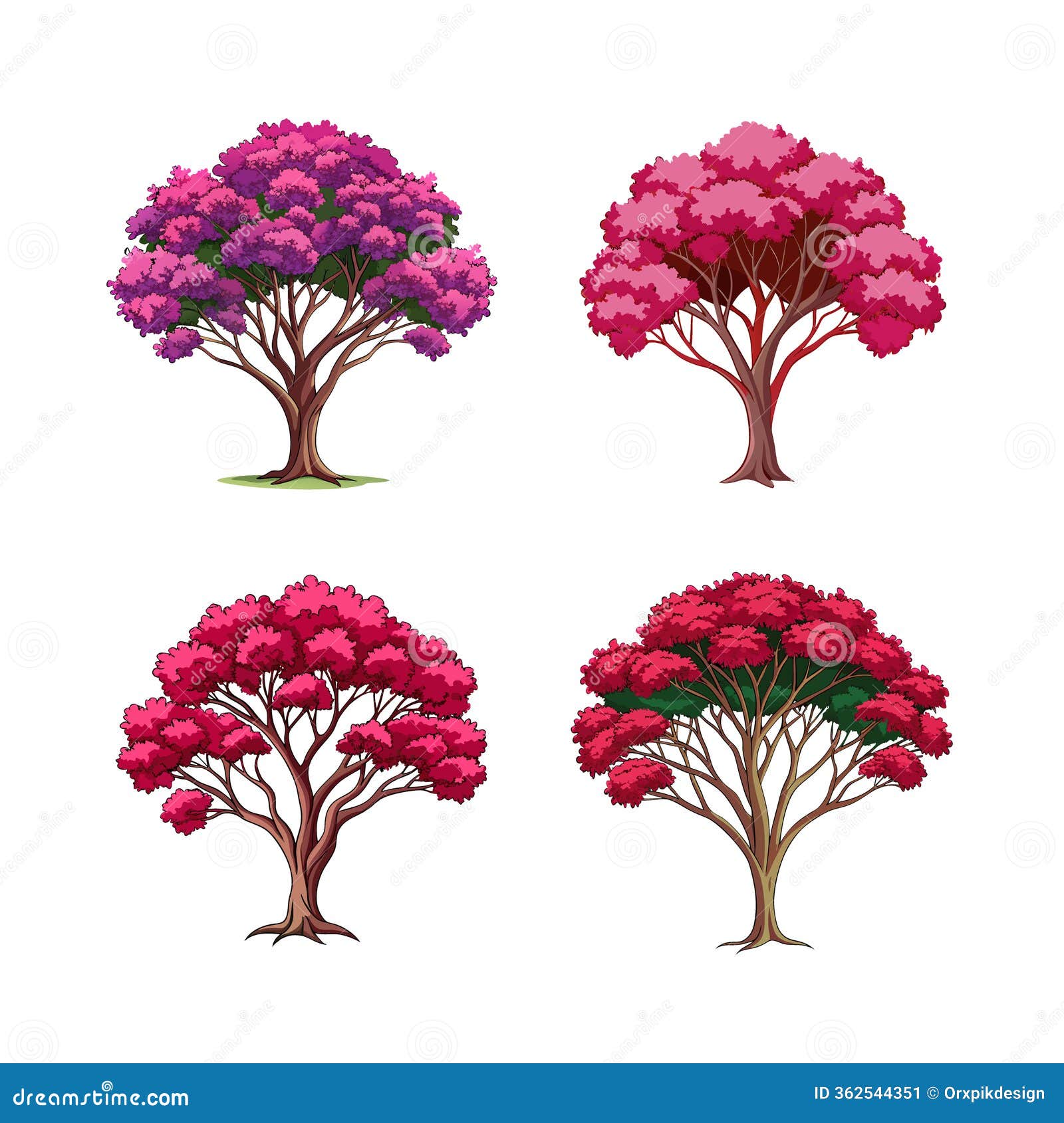 Bold Crape Myrtle Tree Illustration On White Background Royalty-Free ...