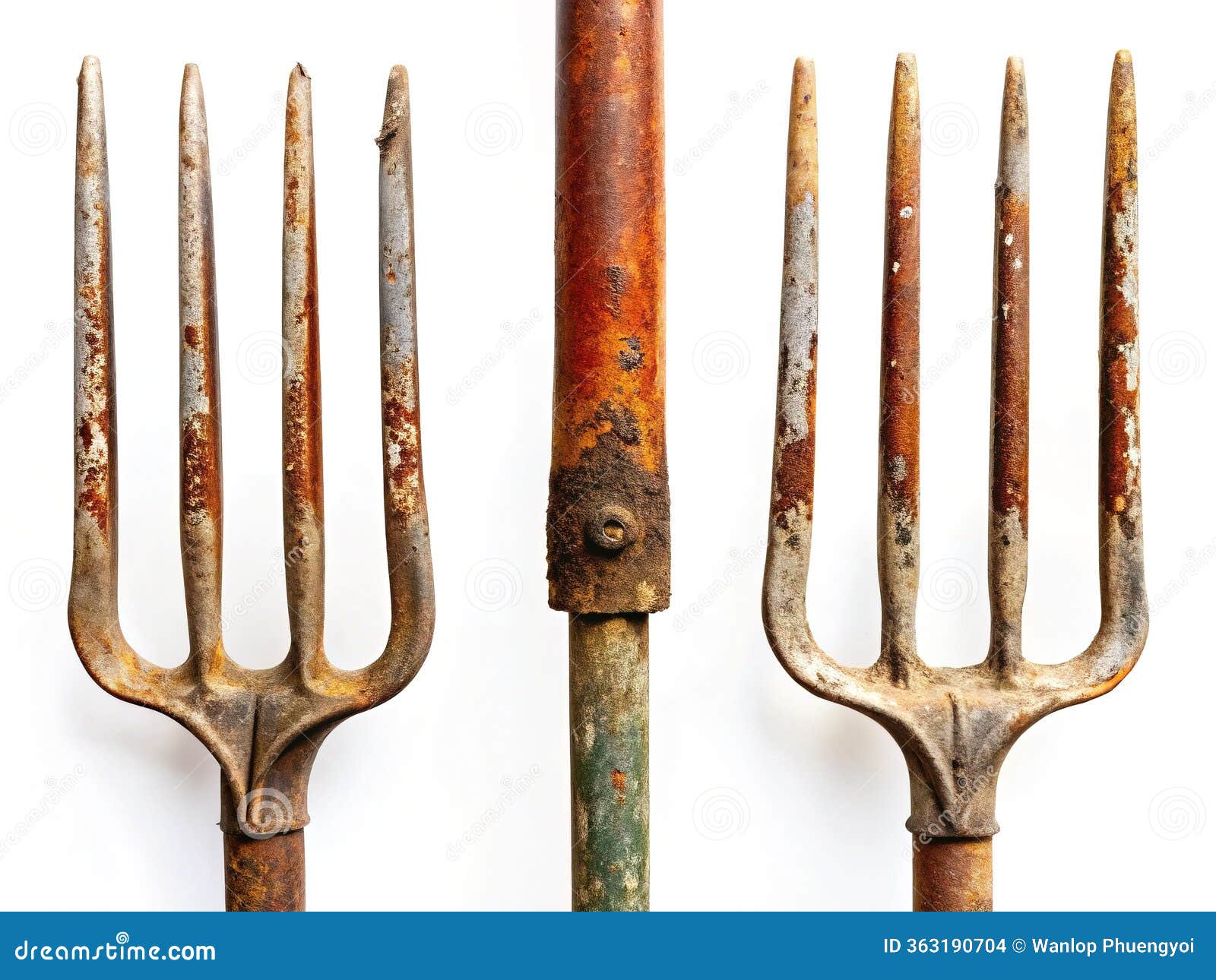 Two Pitchforks Isolated Illustration | CartoonDealer.com #267214946