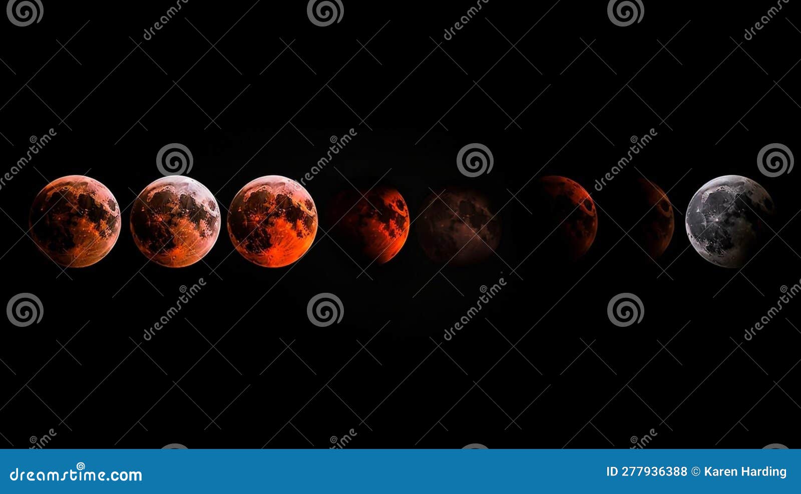 Phases Of A Lunar Eclipse Stock Photography | CartoonDealer.com #277936388