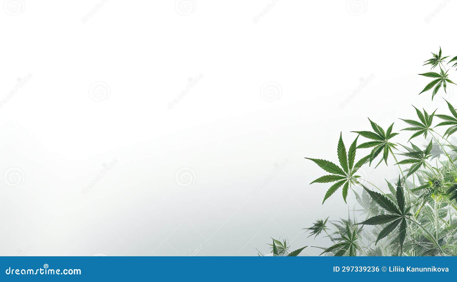 A Captivating Modern Website Banner With A Minimalist Touch Featuring Realistic Weed Buds Hemp