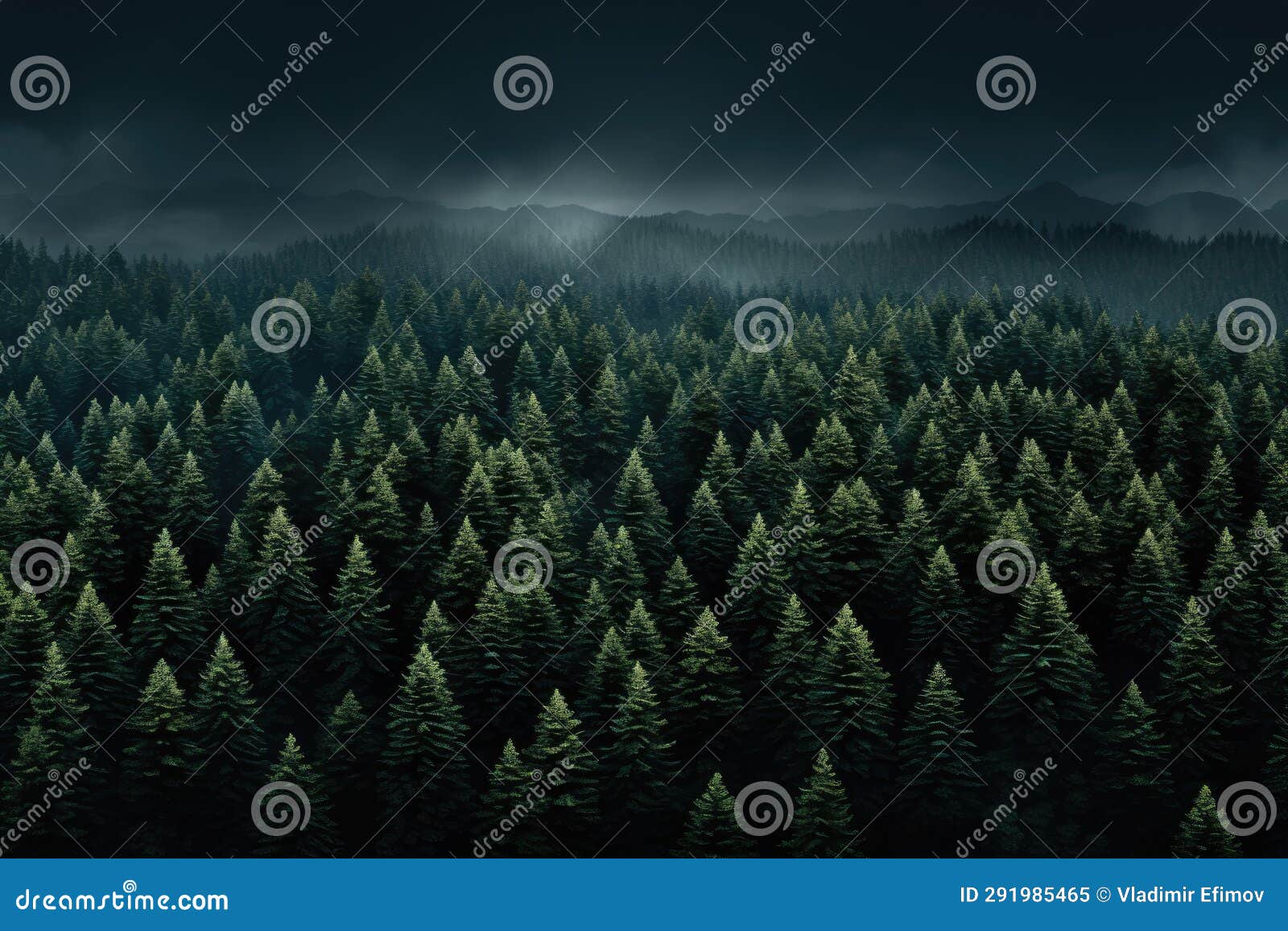Captivating View of Forest with Dark Sky in Background. Perfect for ...