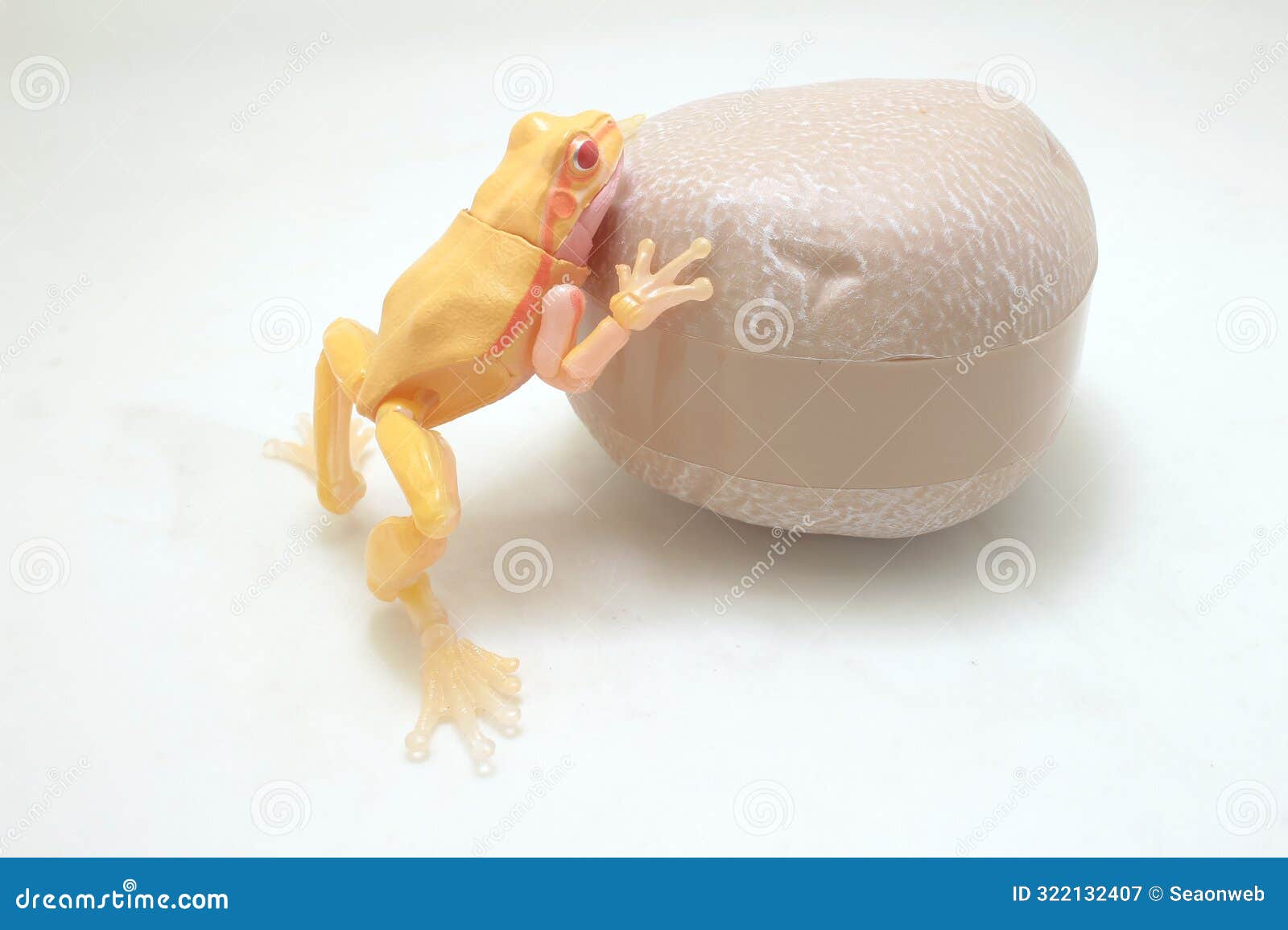 The Captivating White Paneled Frog, Scale Toy Figure Stock Image ...