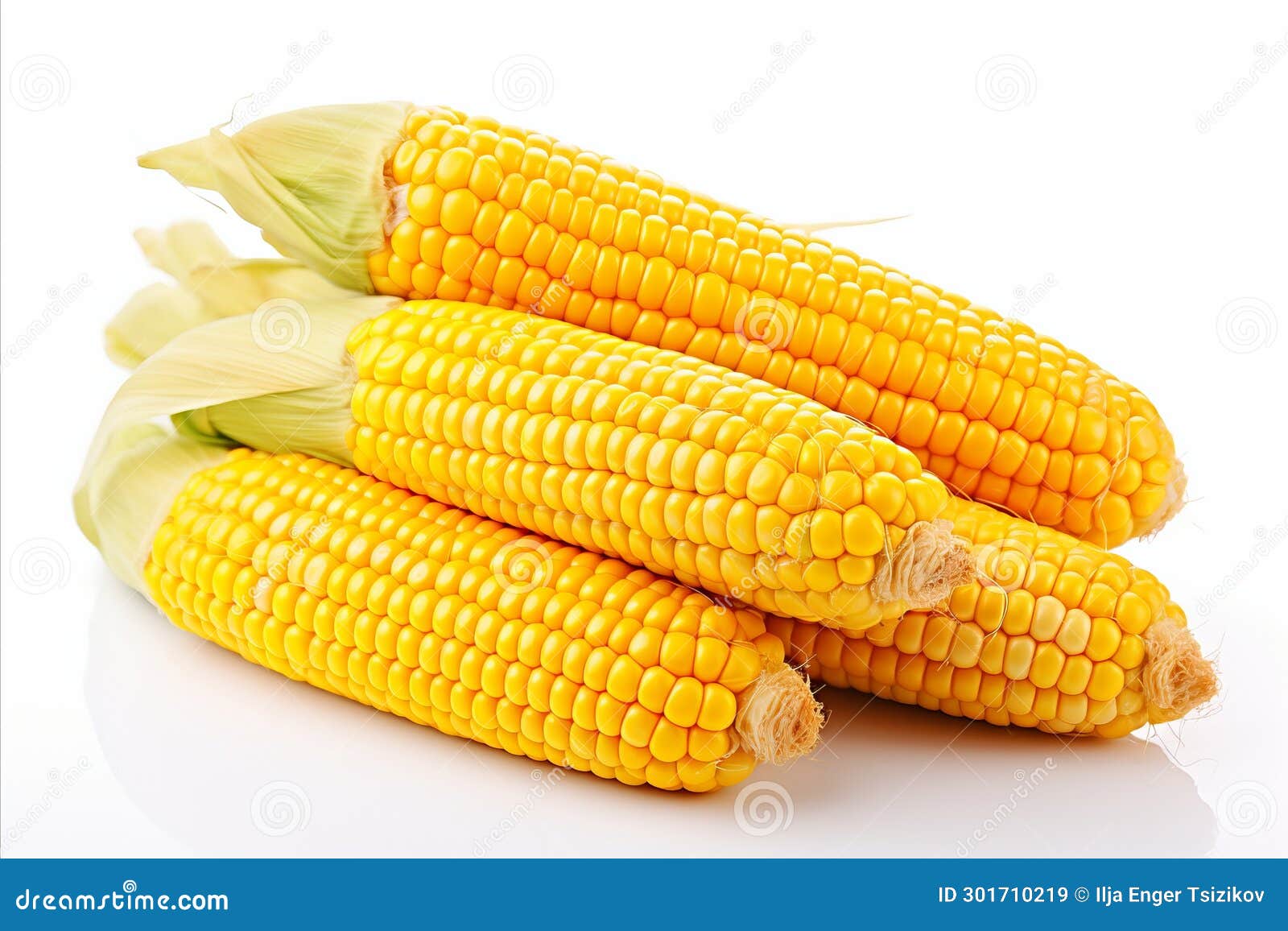 Captivating Yellow Corn on Clean White Background for Advertisements ...