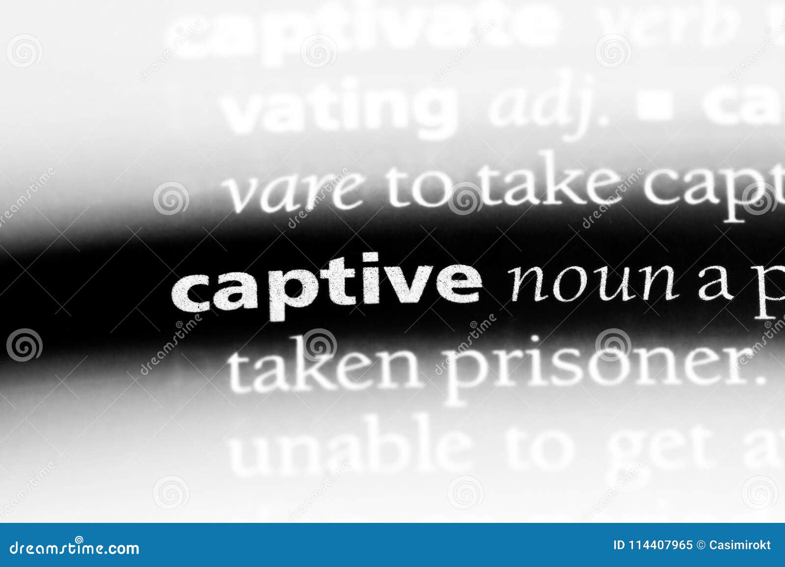 Captive stock image. Image of word, macro, printed, isolated - 114407965