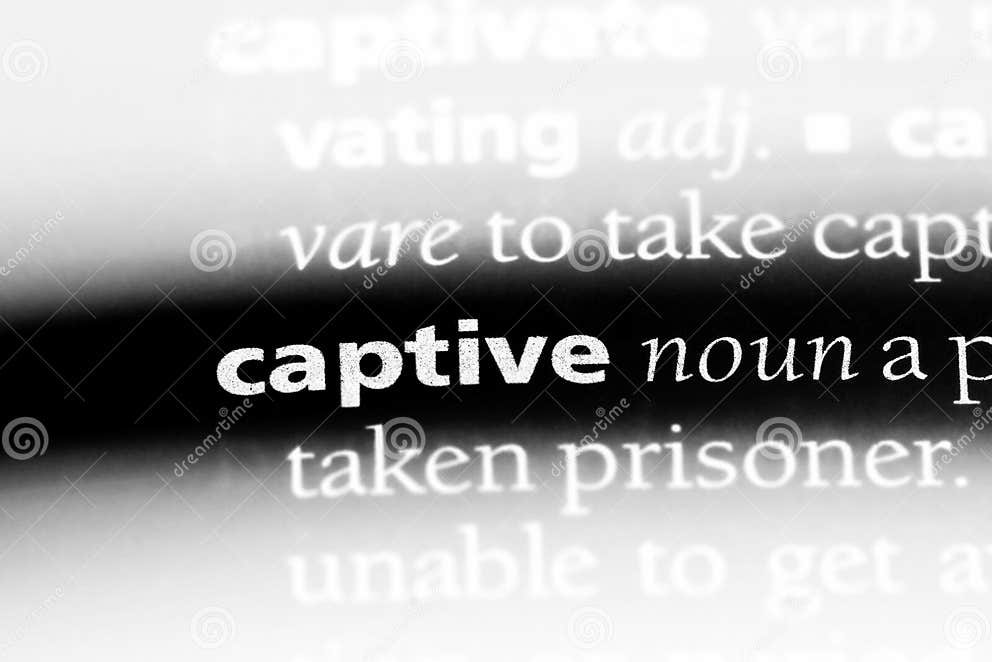 Captive stock image. Image of word, macro, printed, isolated - 114407965
