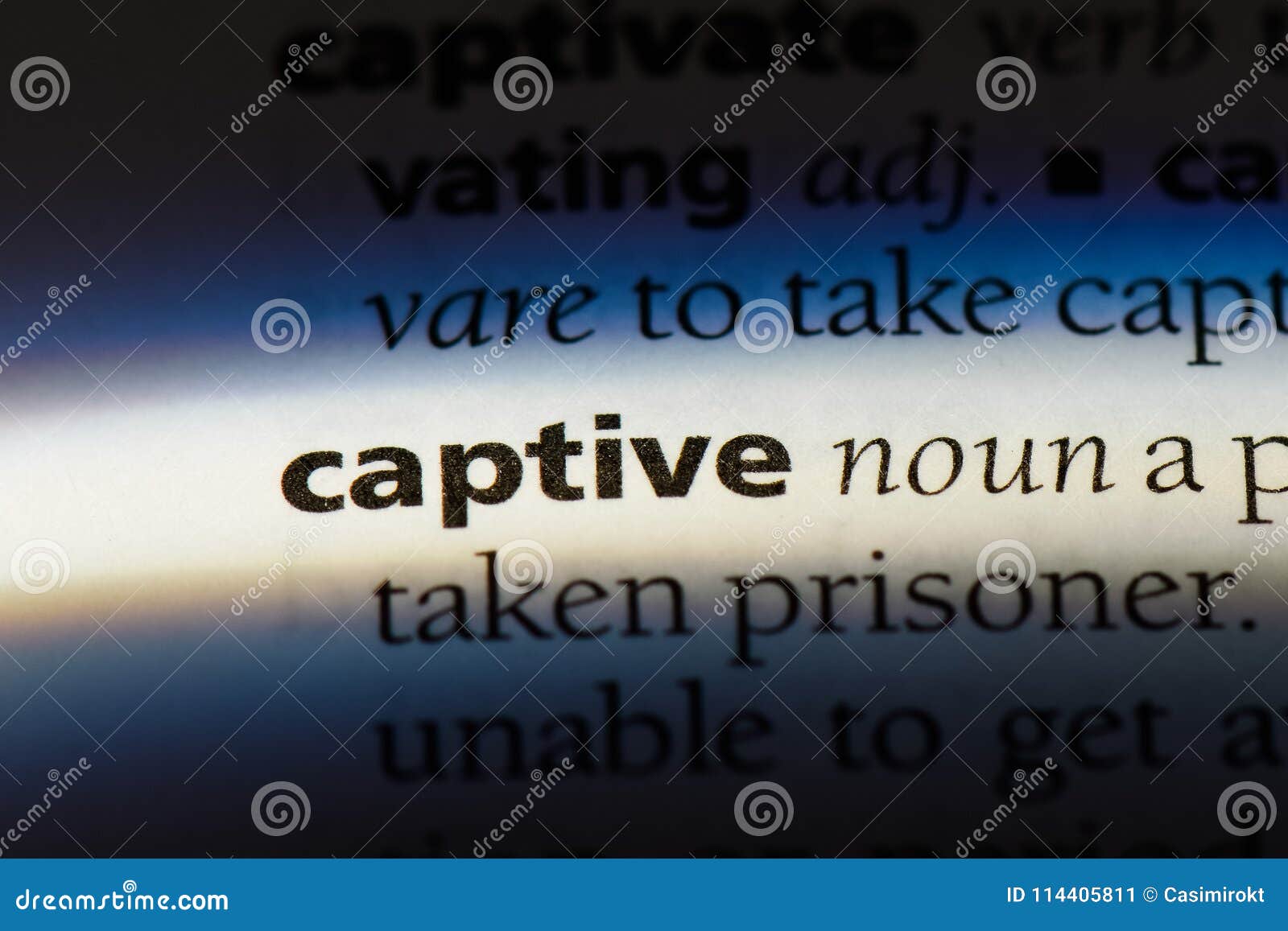 Captive stock image. Image of concept, closeup, isolated - 114405811
