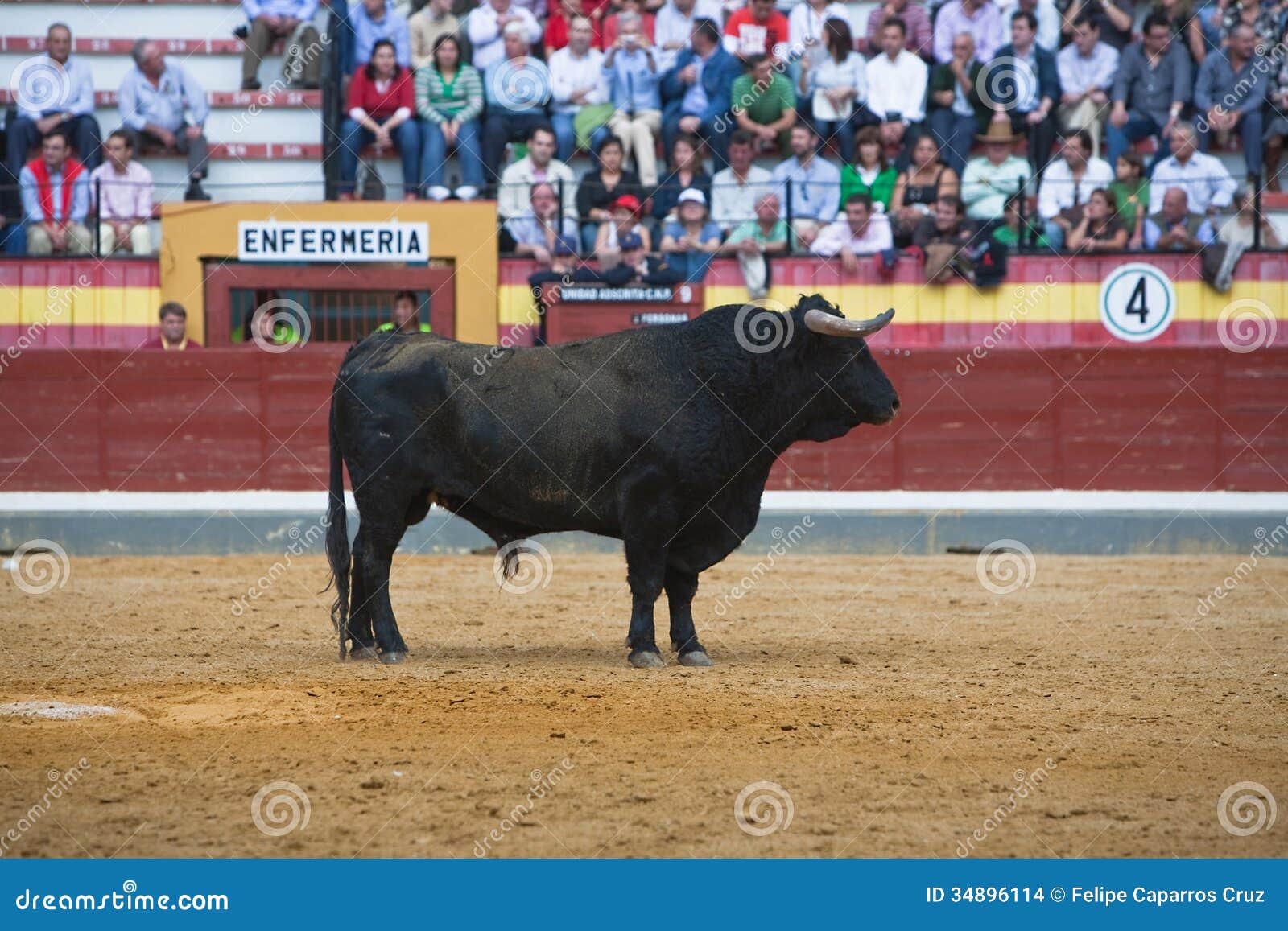 Capture of the Figure of a Brave Bull in a Bullfight Stock Photo ...