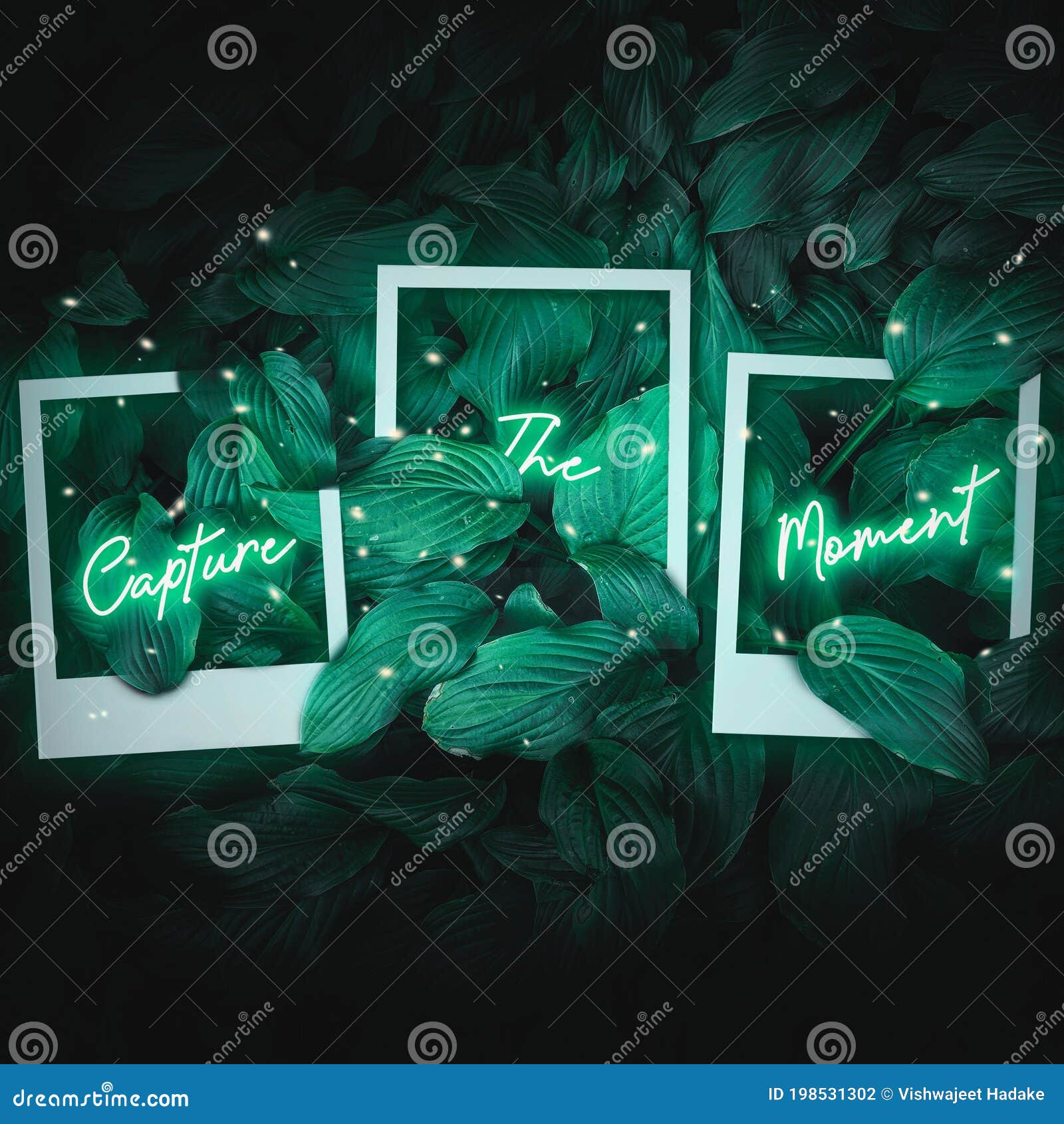 Capture the Moment stock photo. Image of advertising - 198531302