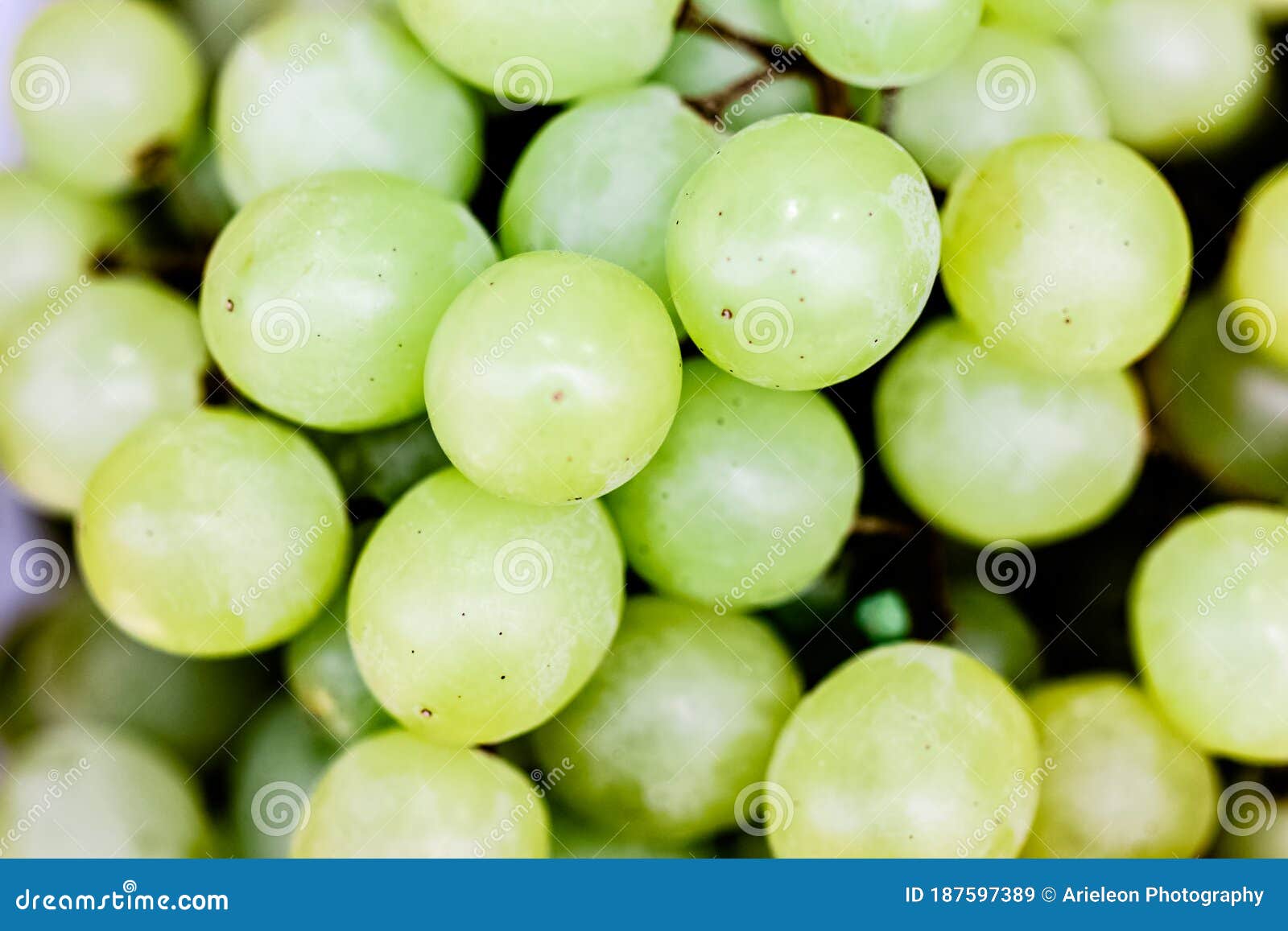 Reen grape pile close up stock image. Image of natural - 187597389
