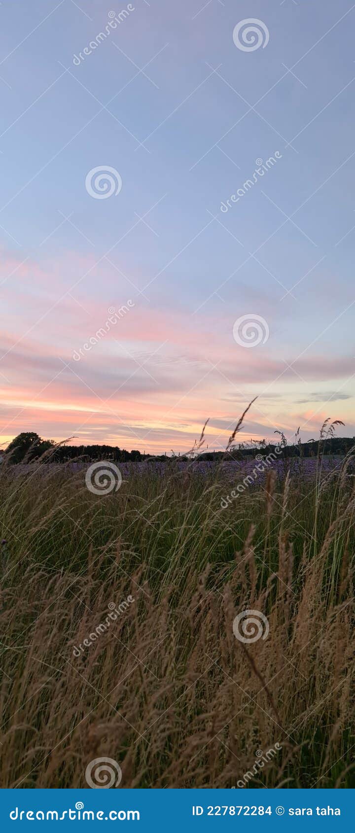 Capture the sunset stock photo. Image of reflection - 227872284