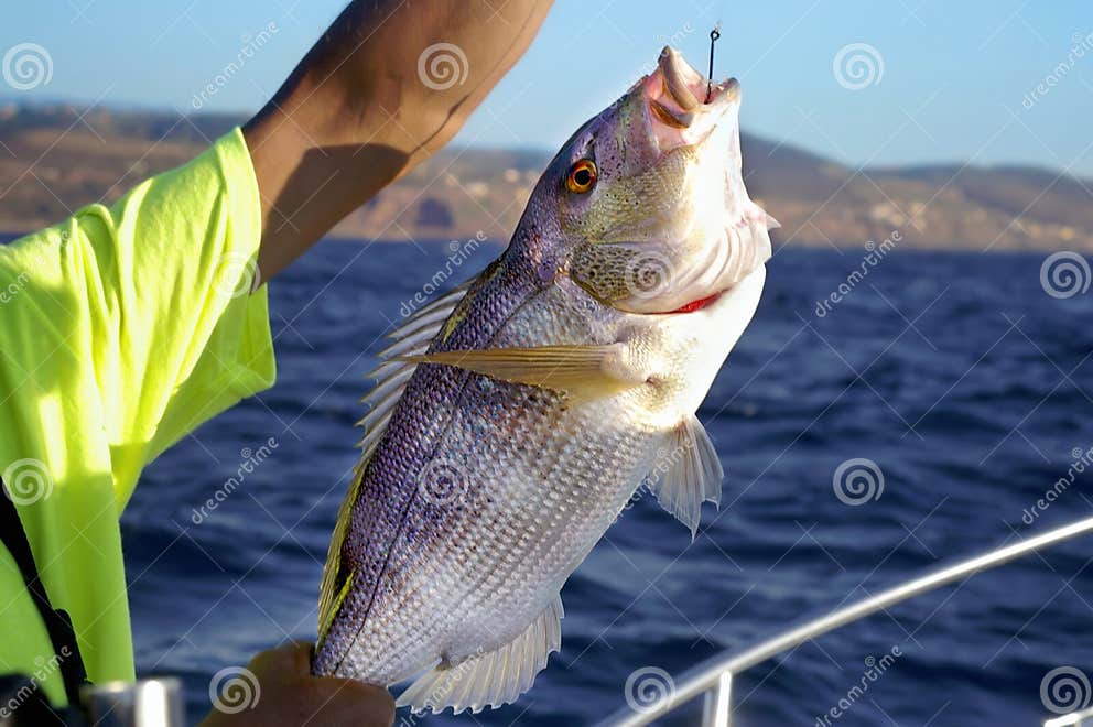 Captured fish stock photo. Image of enjoy, fish, funny - 8852216