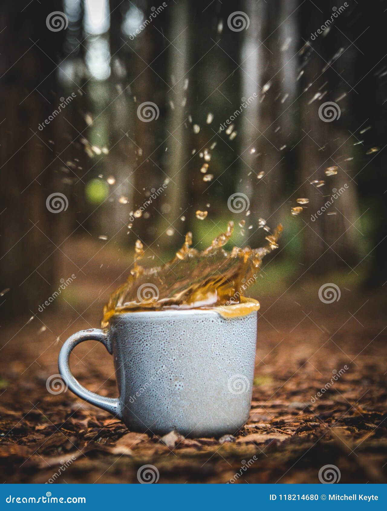 Splash of Coffee in the Forest Stock Photo - Image of moment, coffee ...