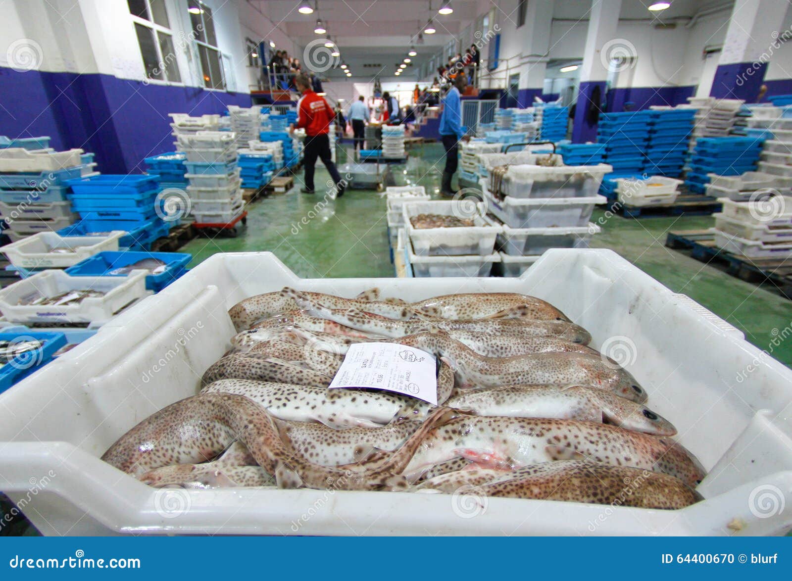 Daily Captures on Fish Market Editorial Image - Image of nmarketplace ...