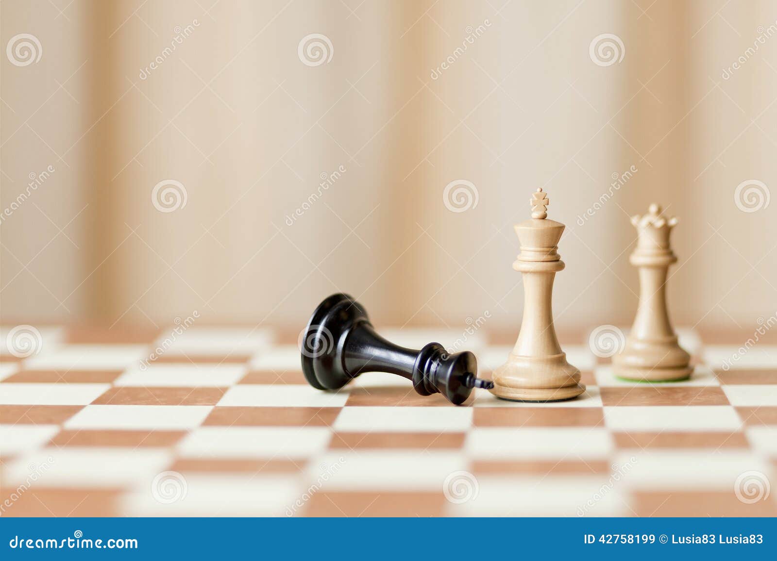 Capturing chess game stock image. Image of king, holding - 42758199