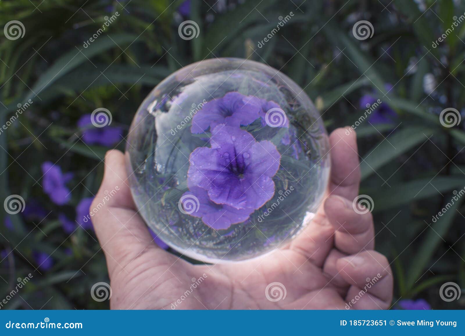 Capturing Objects or Scenes Photography through Crystal Ball Refraction ...