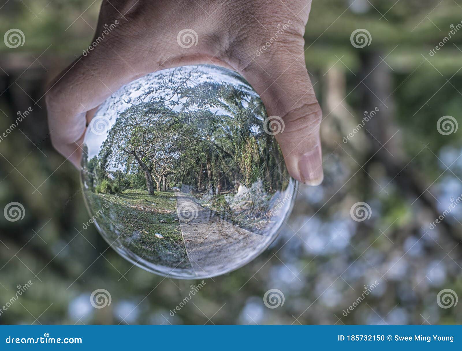 Capturing Objects or Scenes Photography through Crystal Ball Refraction ...