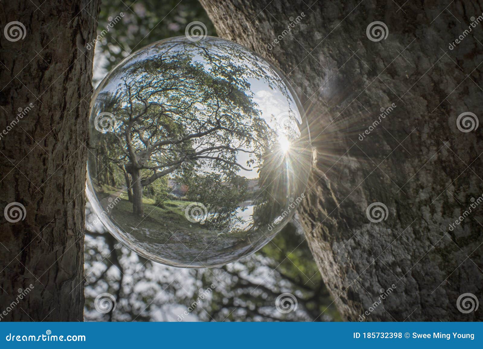 Capturing Objects or Scenes Photography through Crystal Ball Refraction ...