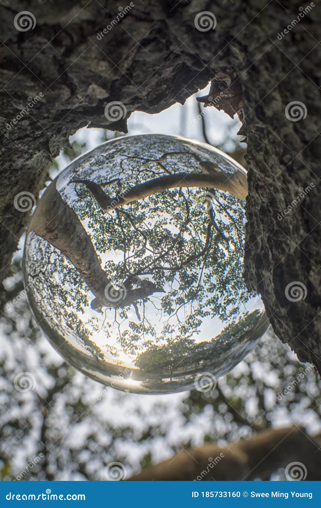 Capturing Objects or Scenes Photography through Crystal Ball Refraction ...