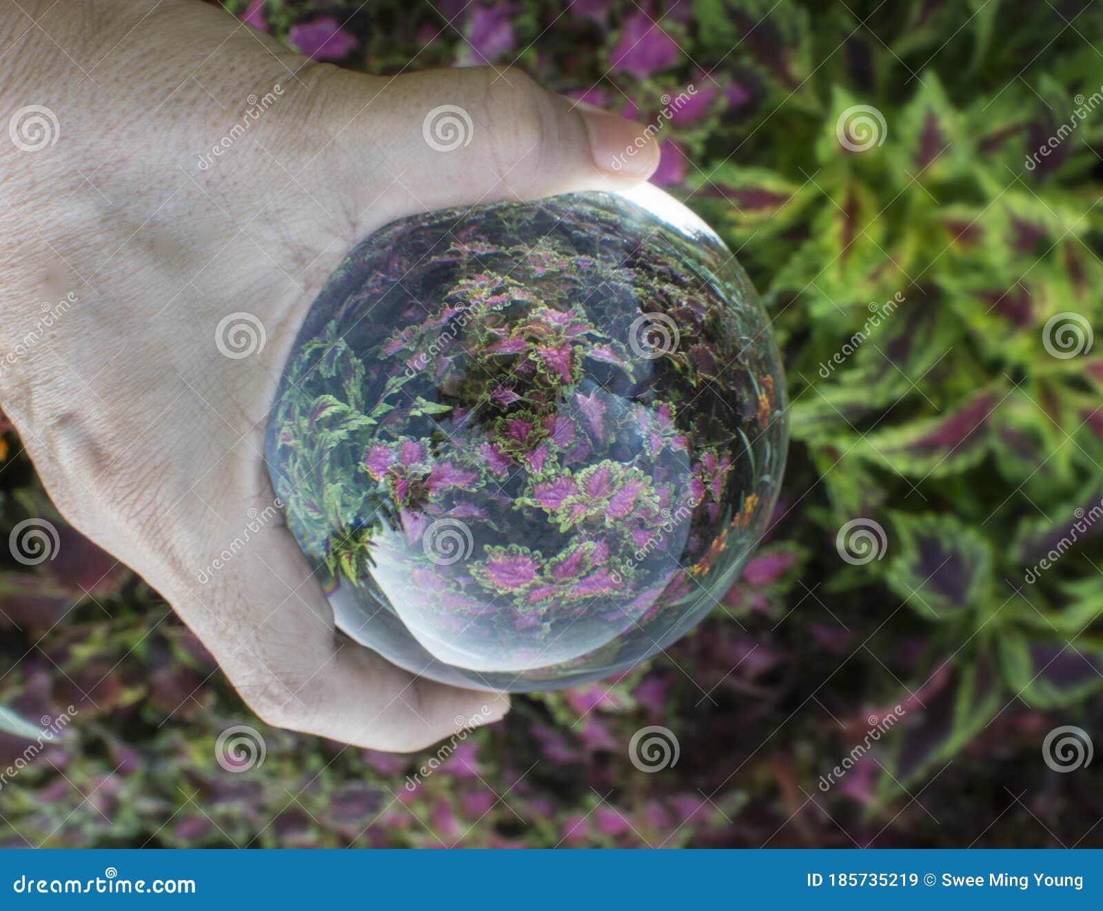 Capturing Objects or Scenes Photography through Crystal Ball Refraction ...