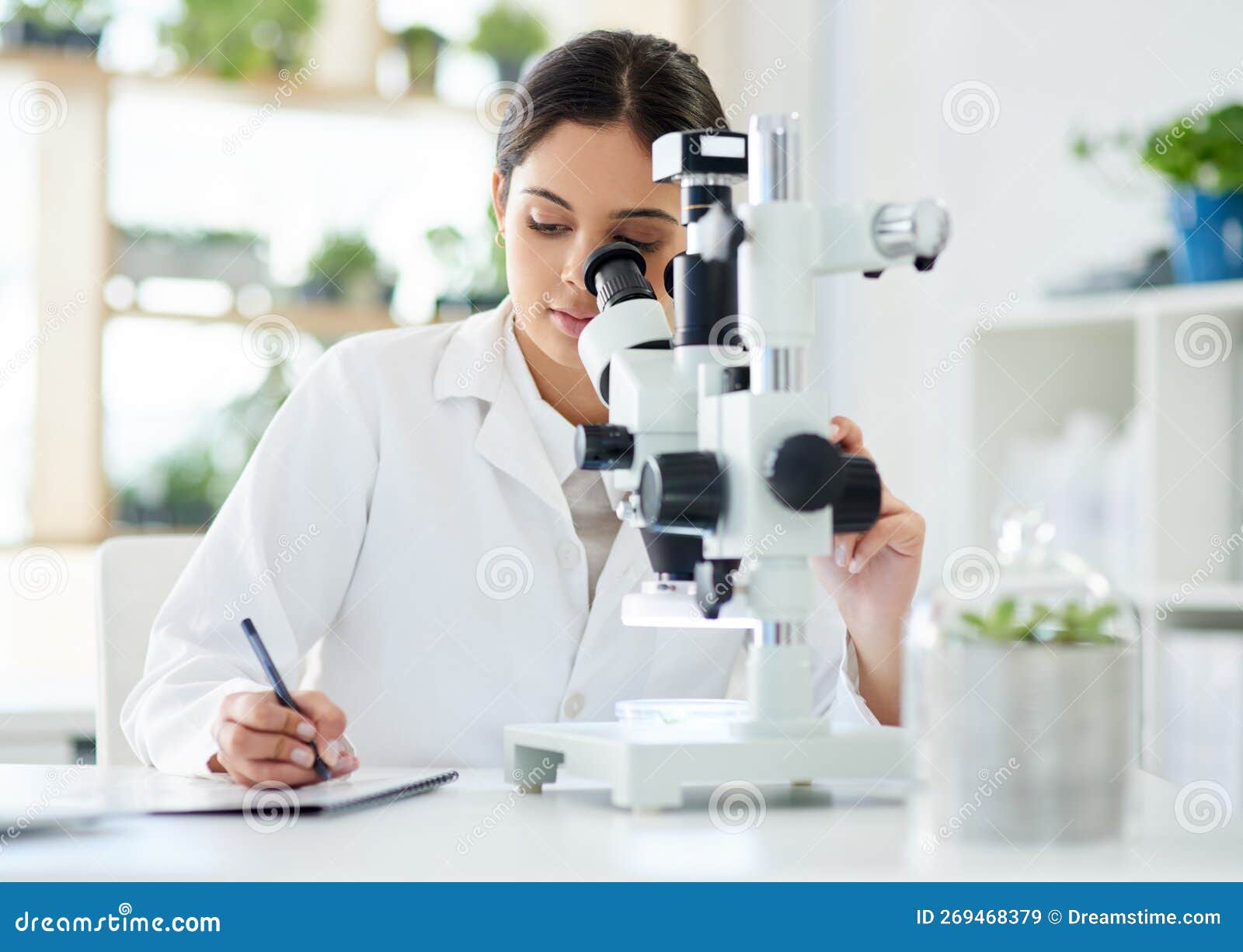 Capturing Some Interesting Info Off the Sample Analysed. a Young ...