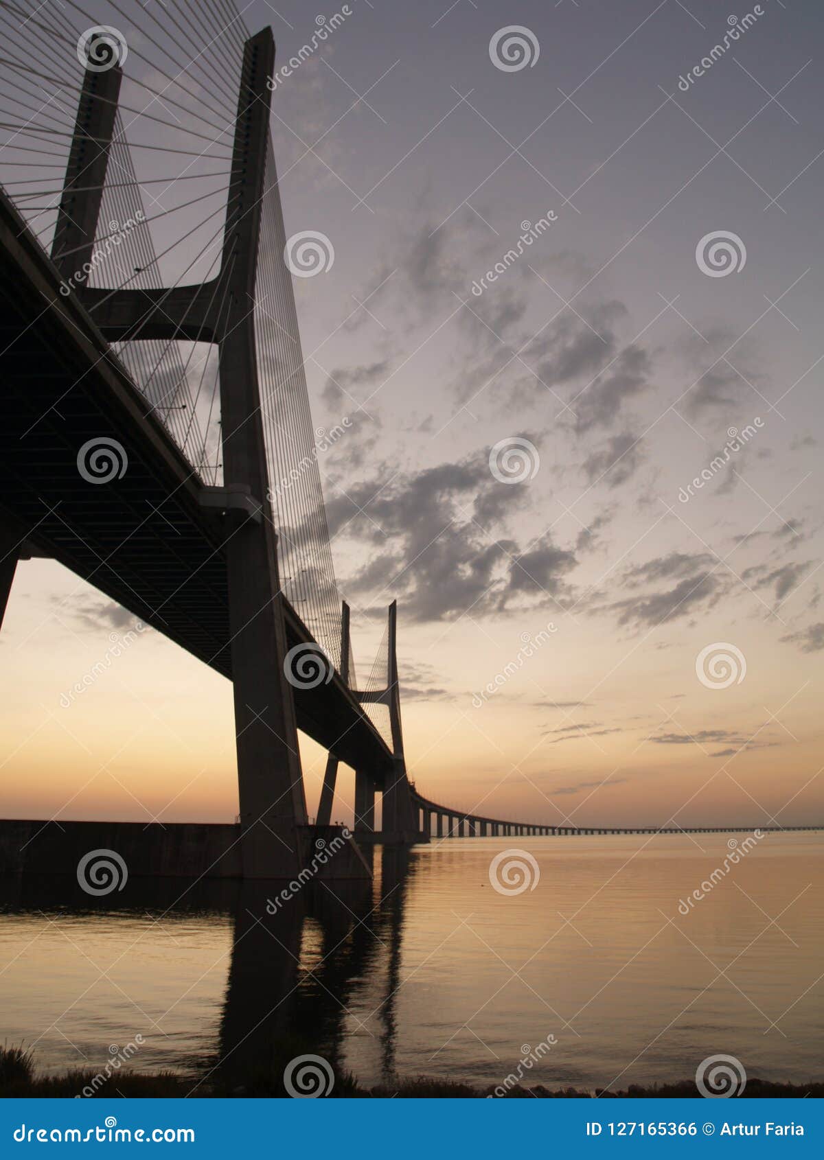 1st Ray of Light of the Morning Stock Photo - Image of suspensapound ...