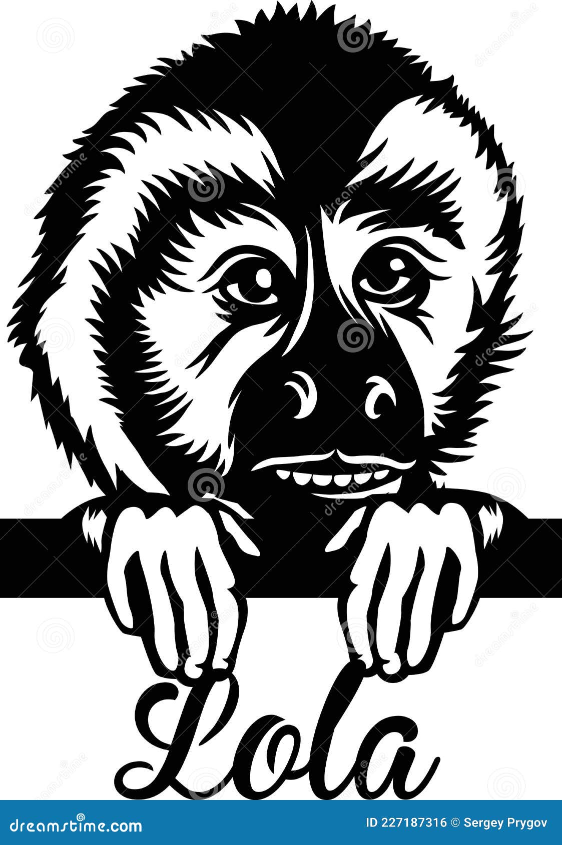 Capuchin, Monkey - Capuchin Face Head Isolated on White Stock Vector ...