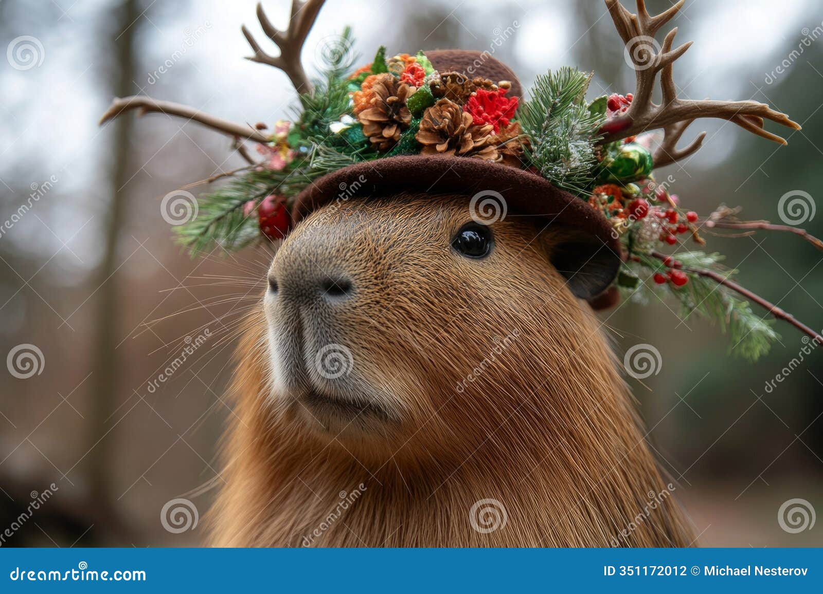 Capybara with Christmas Decorations Including a Hat with Antlers ...