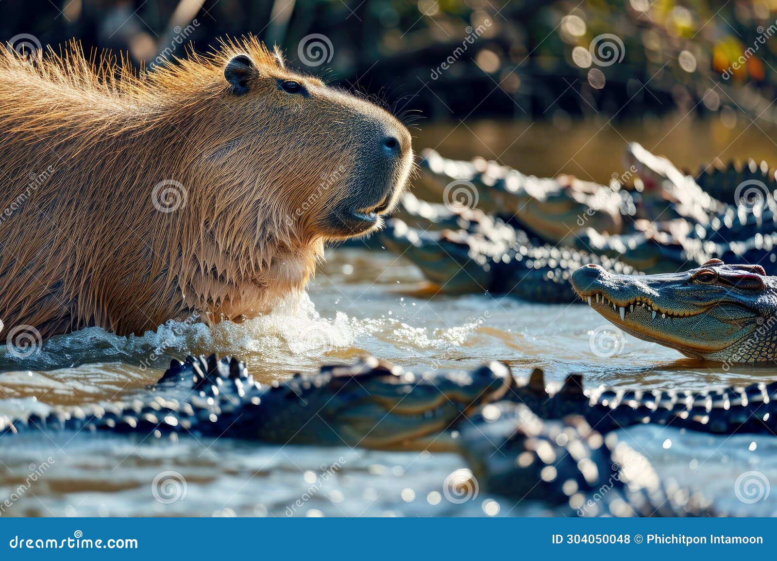 A Capybara among Crocodiles in the River.AI Generative Stock Photo ...